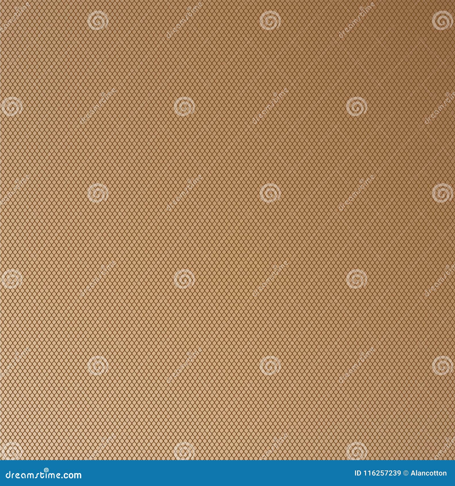 Nylon Stocking Mesh Grid stock vector. Illustration of tights - 116257239