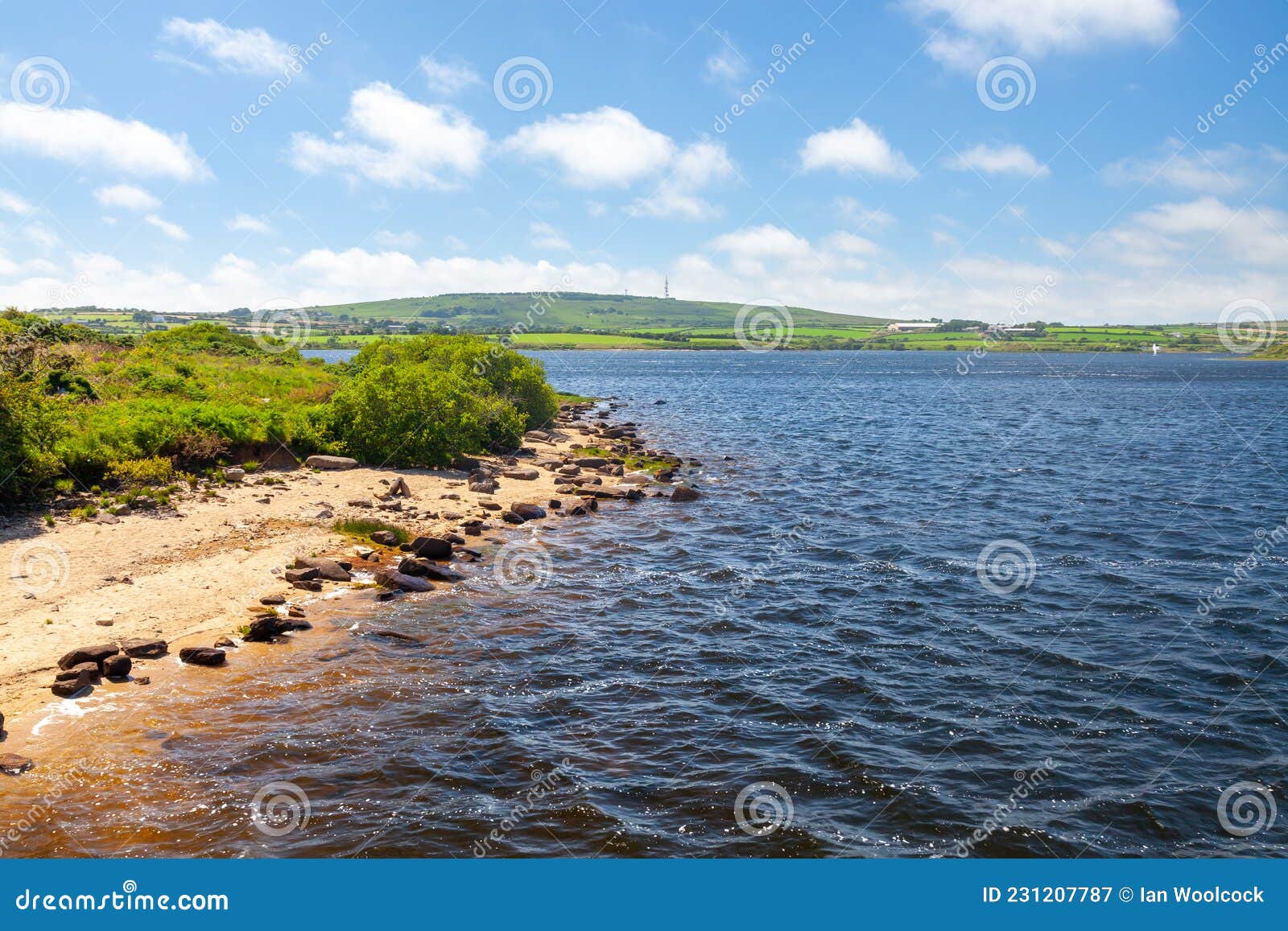 Stithians Reservoir Cornwall England Stock Image - Image of drinking ...