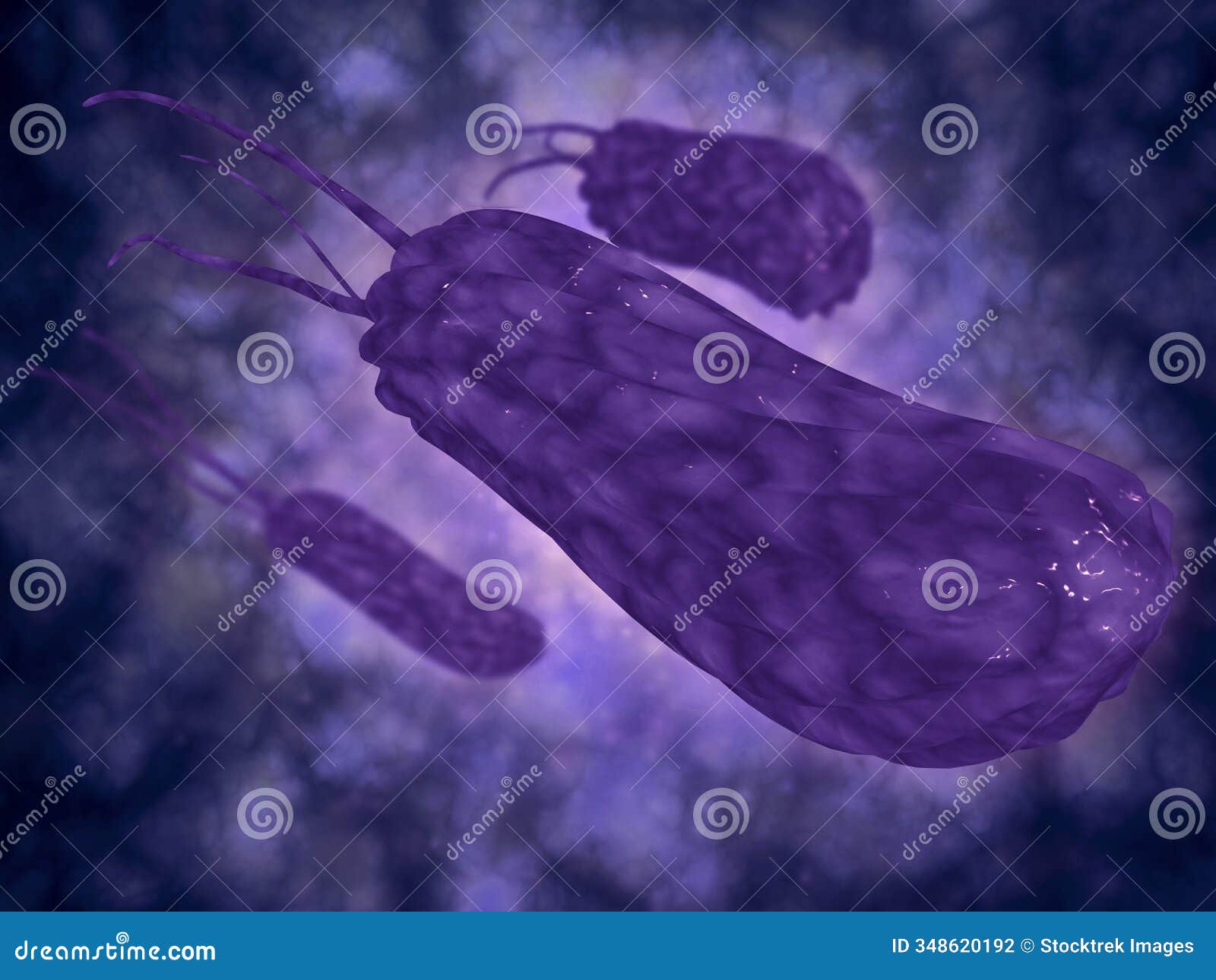 Conceptual Image of Helicobacter. Stock Illustration - Illustration of ...
