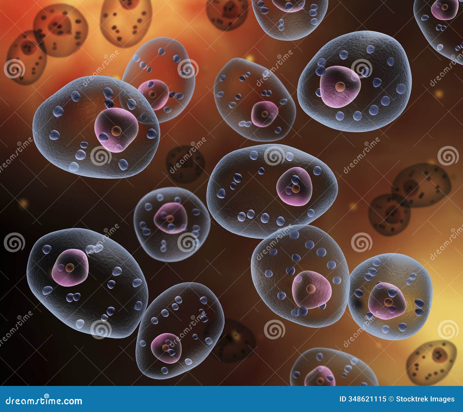 Conceptual Image of Mast Cells. Stock Illustration - Illustration of ...