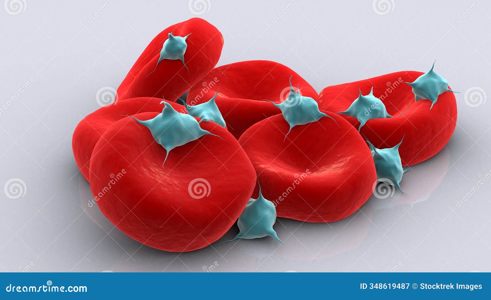 Conceptual Image of Platelets with Red Blood Cells. Stock Illustration ...