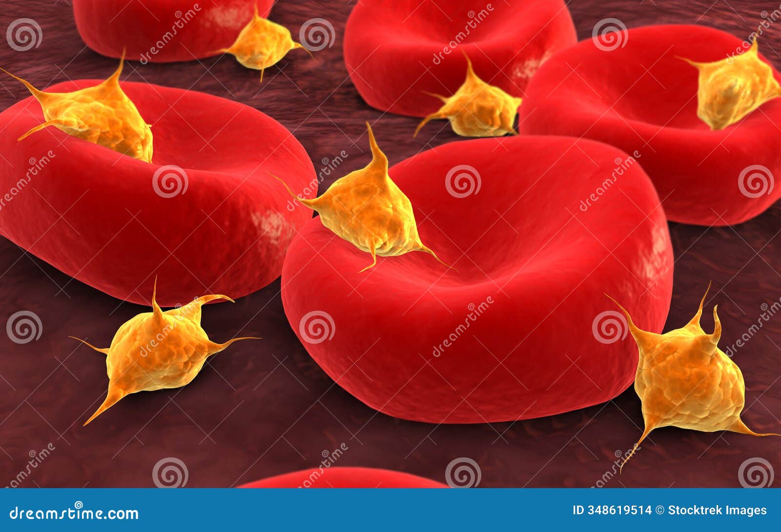 Conceptual Image of Platelets with Red Blood Cells. Stock Illustration ...