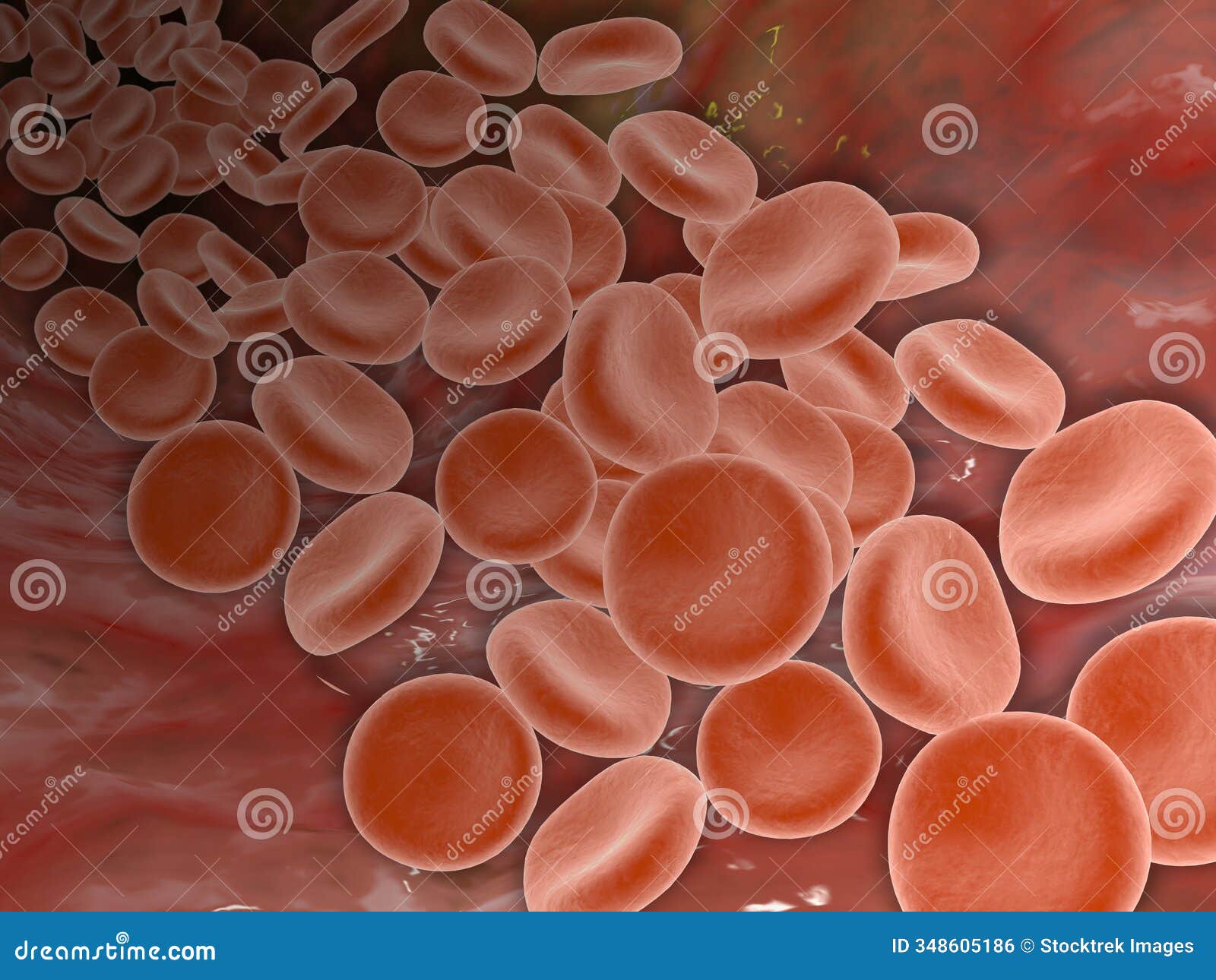 Inside View of the Artery with Red Blood Cells. Stock Illustration ...