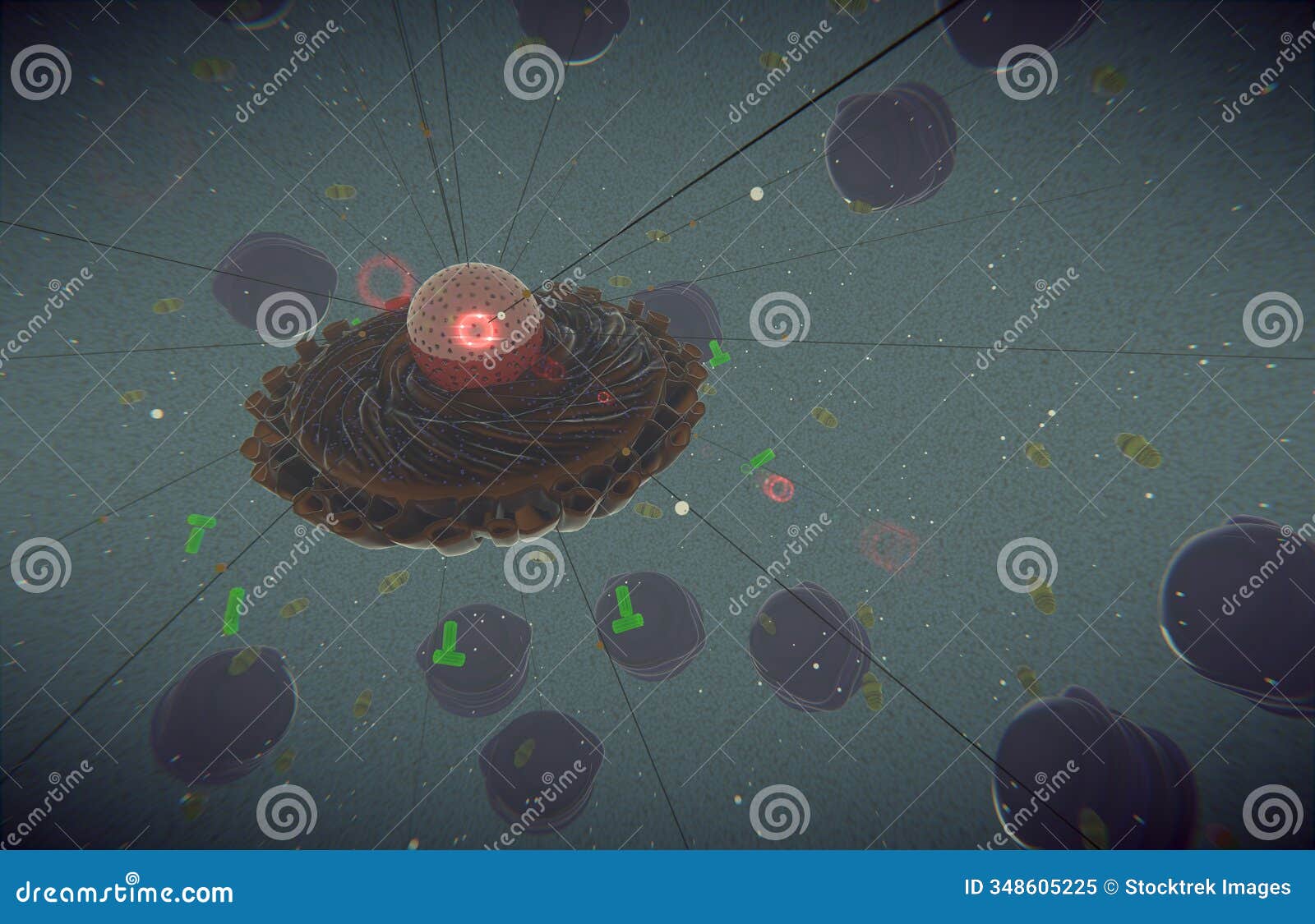 The Interior of an Eukaryotic Cell. Stock Illustration - Illustration ...
