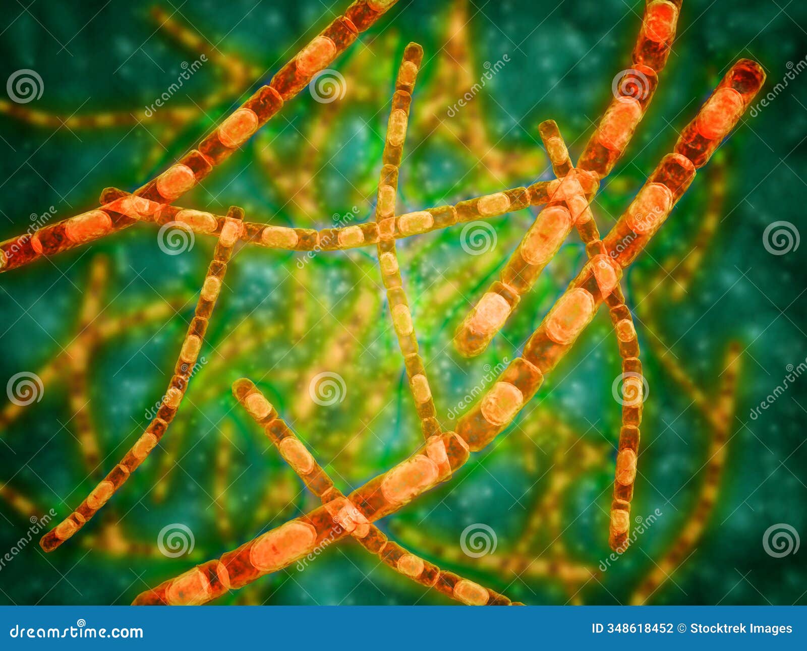Microscopic View of Anthrax. Stock Illustration - Illustration of color ...