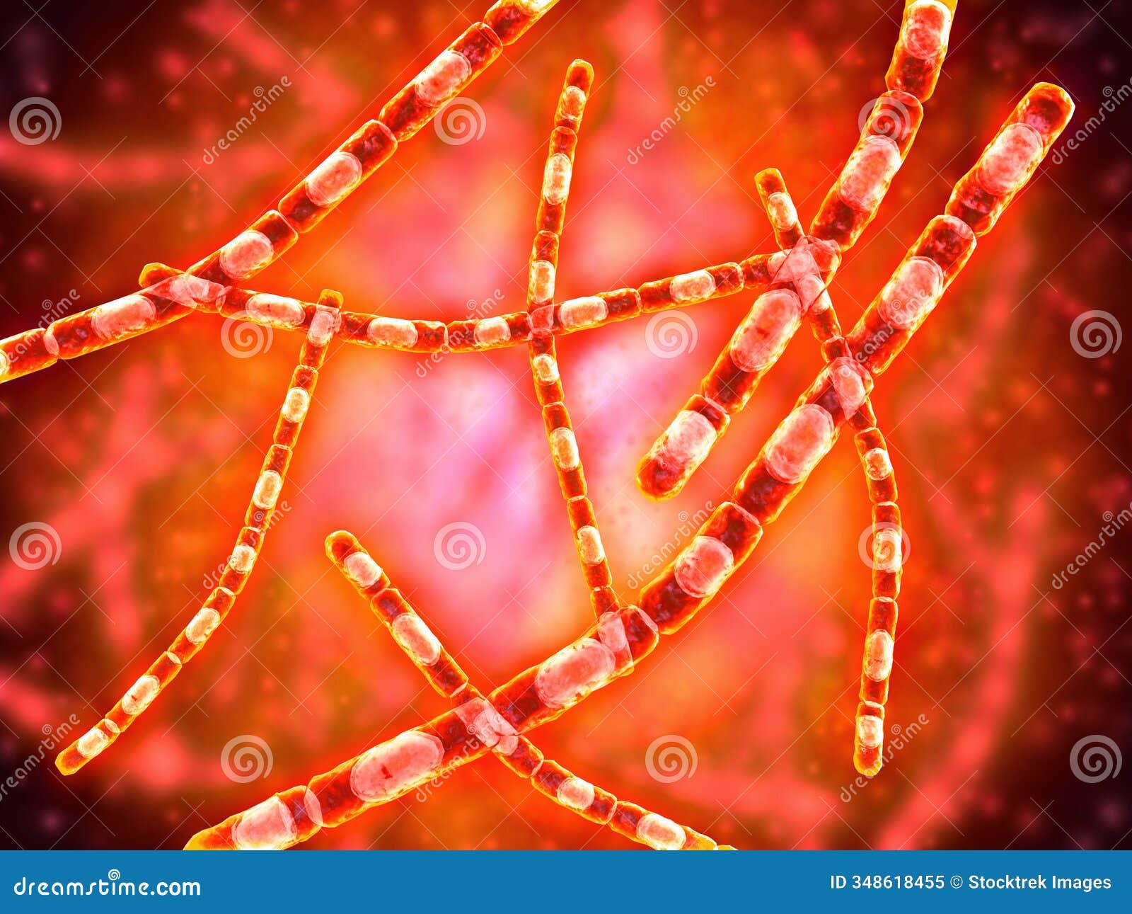 Microscopic View of Anthrax. Stock Illustration - Illustration of ...