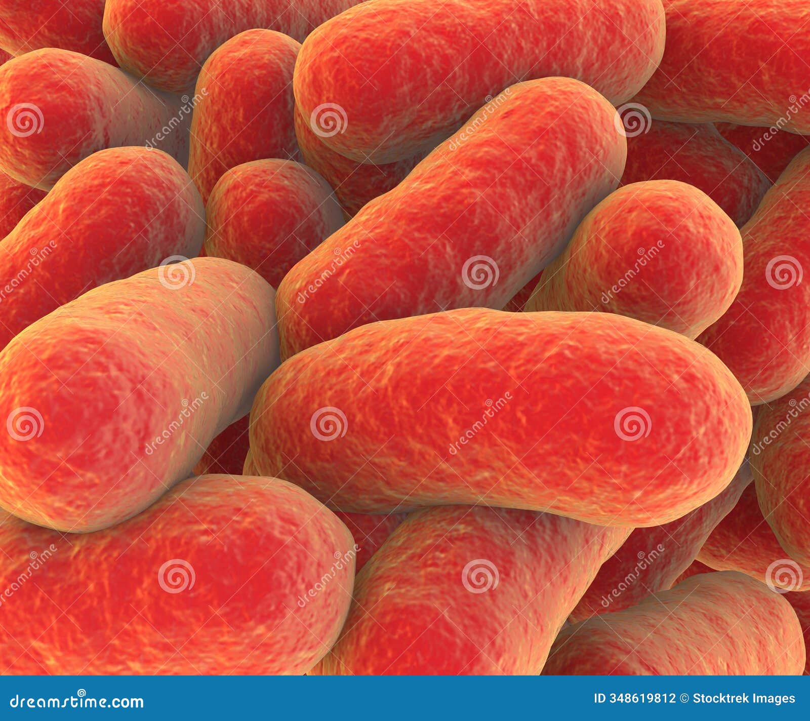 Microscopic View of Bacteria. Stock Illustration - Illustration of ...