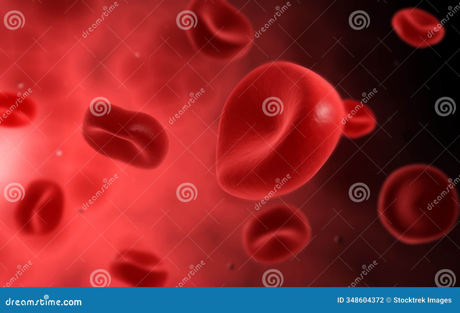 Microscopic View of Red Blood Cells. Stock Illustration - Illustration ...