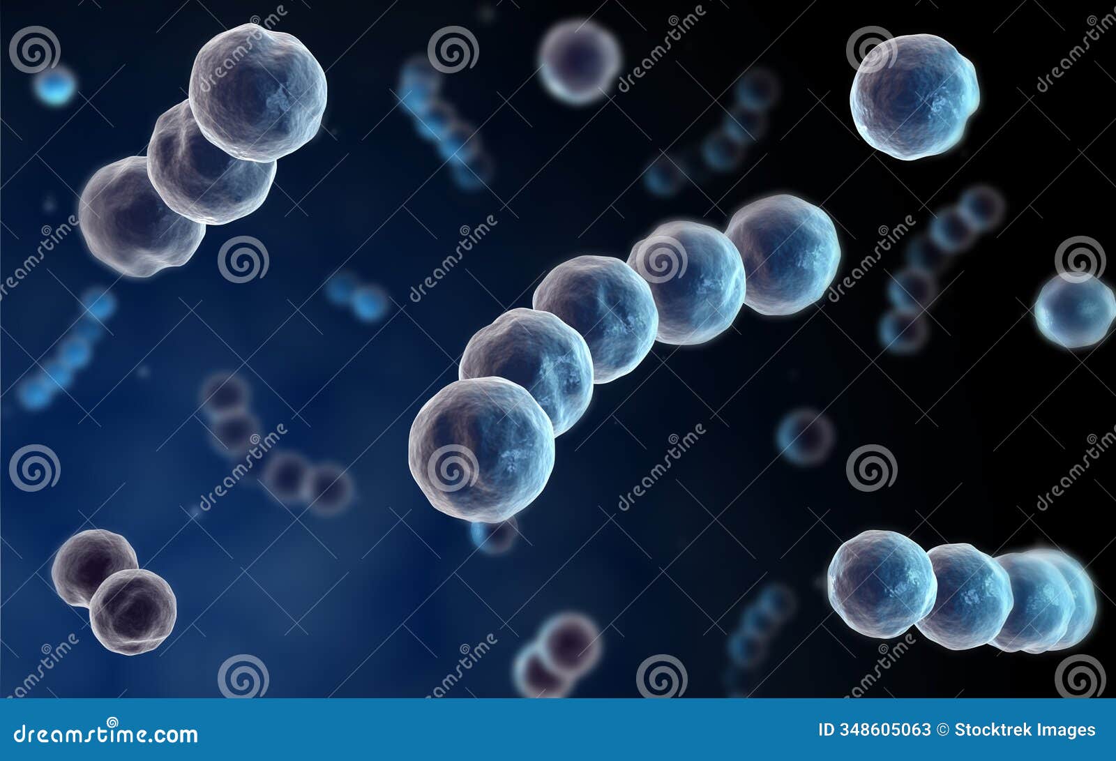 Microscopic View of Streptococcus. Stock Illustration - Illustration of ...