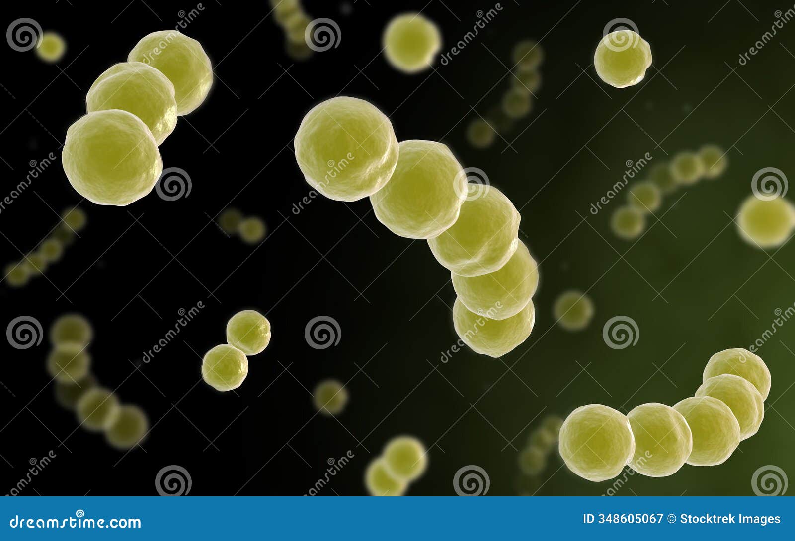 Microscopic View of Streptococcus. Stock Illustration - Illustration of ...