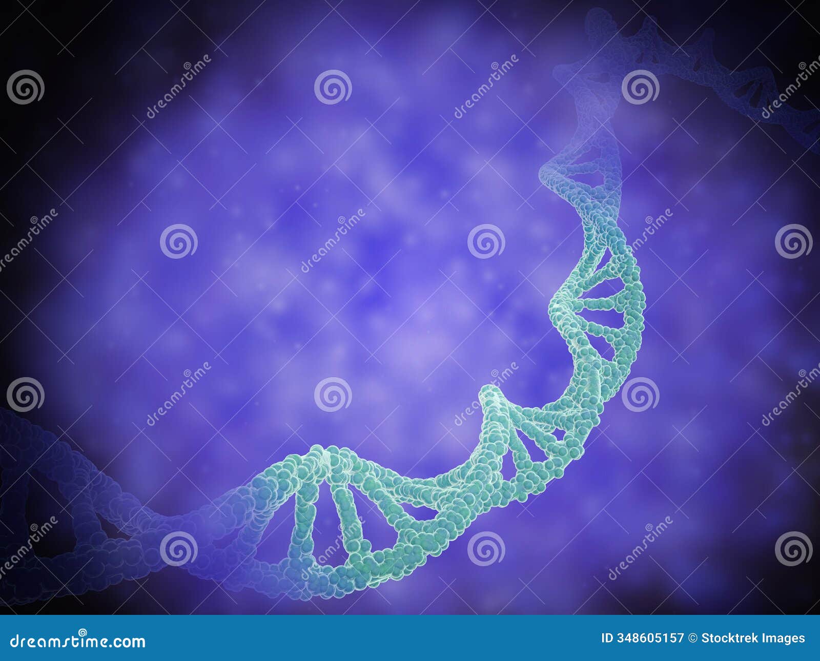 Stylized View of Strands of Human DNA. Stock Illustration ...