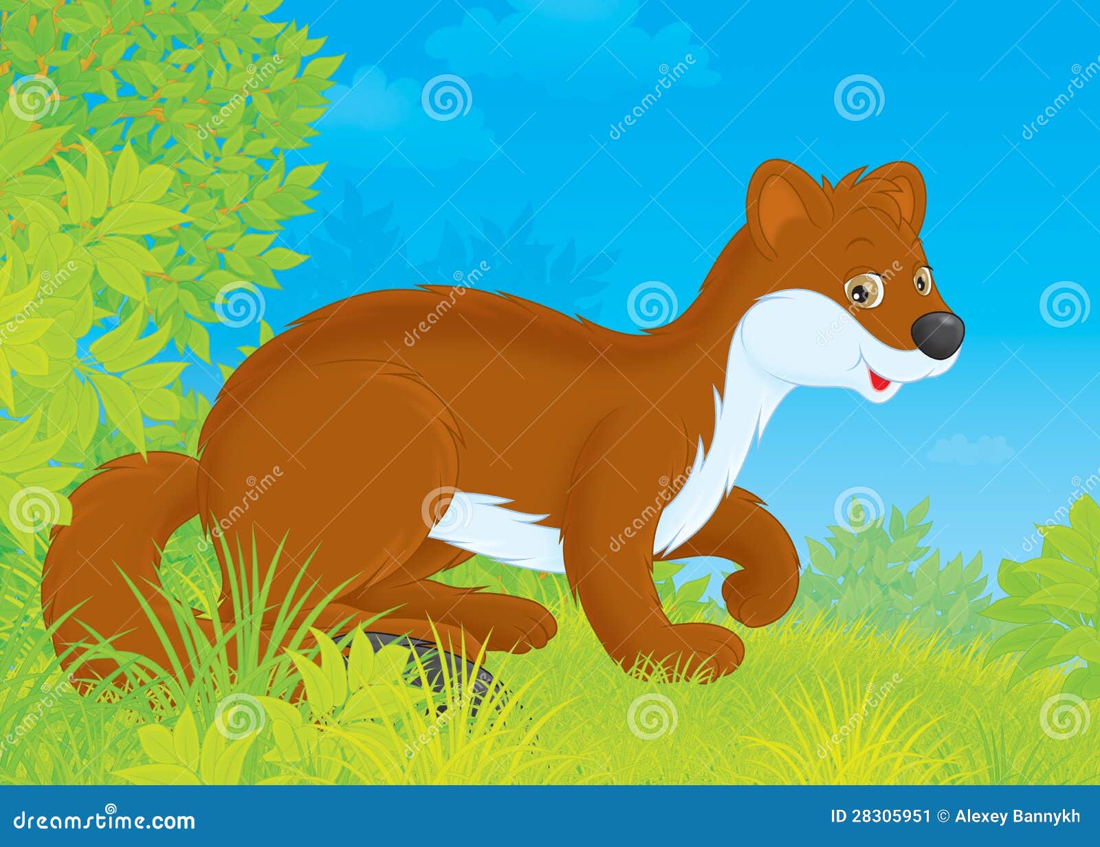 Stoat Cartoons, Illustrations & Vector Stock Images - 786 Pictures to ...