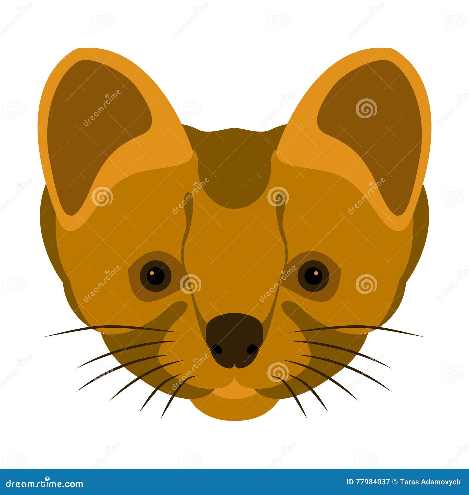 Stoat Head Vector Illustration Style Flat Stock Vector - Illustration ...