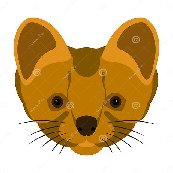 Stoat Head Vector Illustration Style Flat Stock Vector - Illustration ...