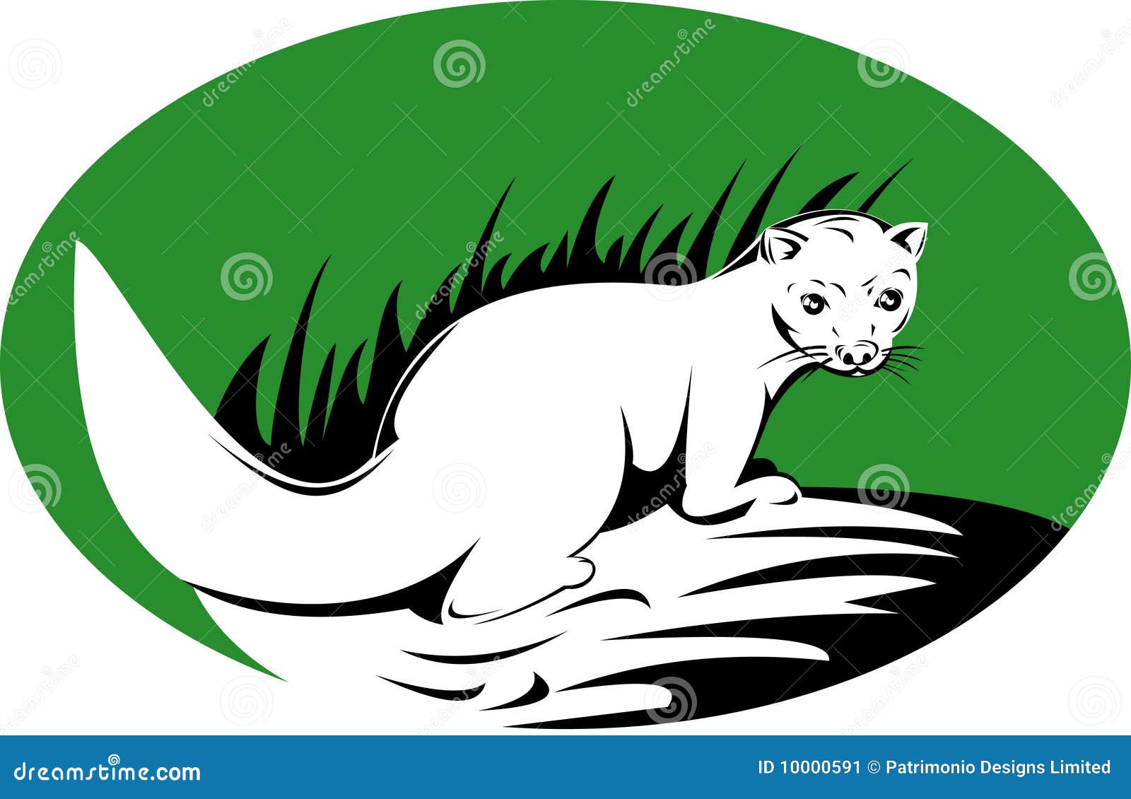 Stoat Cartoons, Illustrations & Vector Stock Images - 786 Pictures to ...