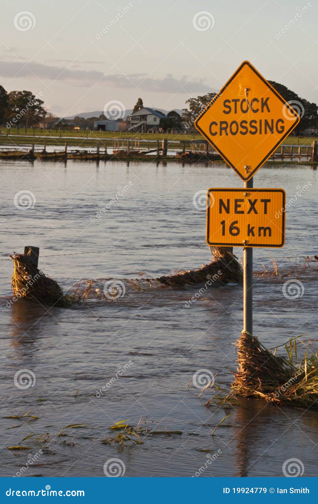 Stock Crossing during Flood Editorial Stock Image - Image of river ...