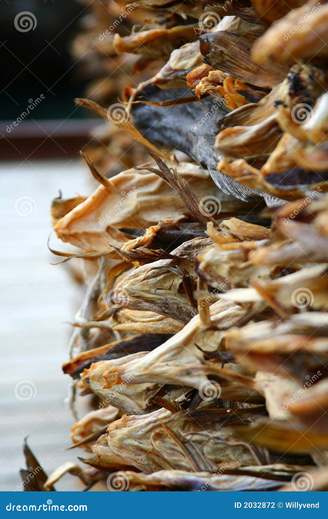 Stock fish stock photo. Image of lots, food, fishing, cods - 2032872