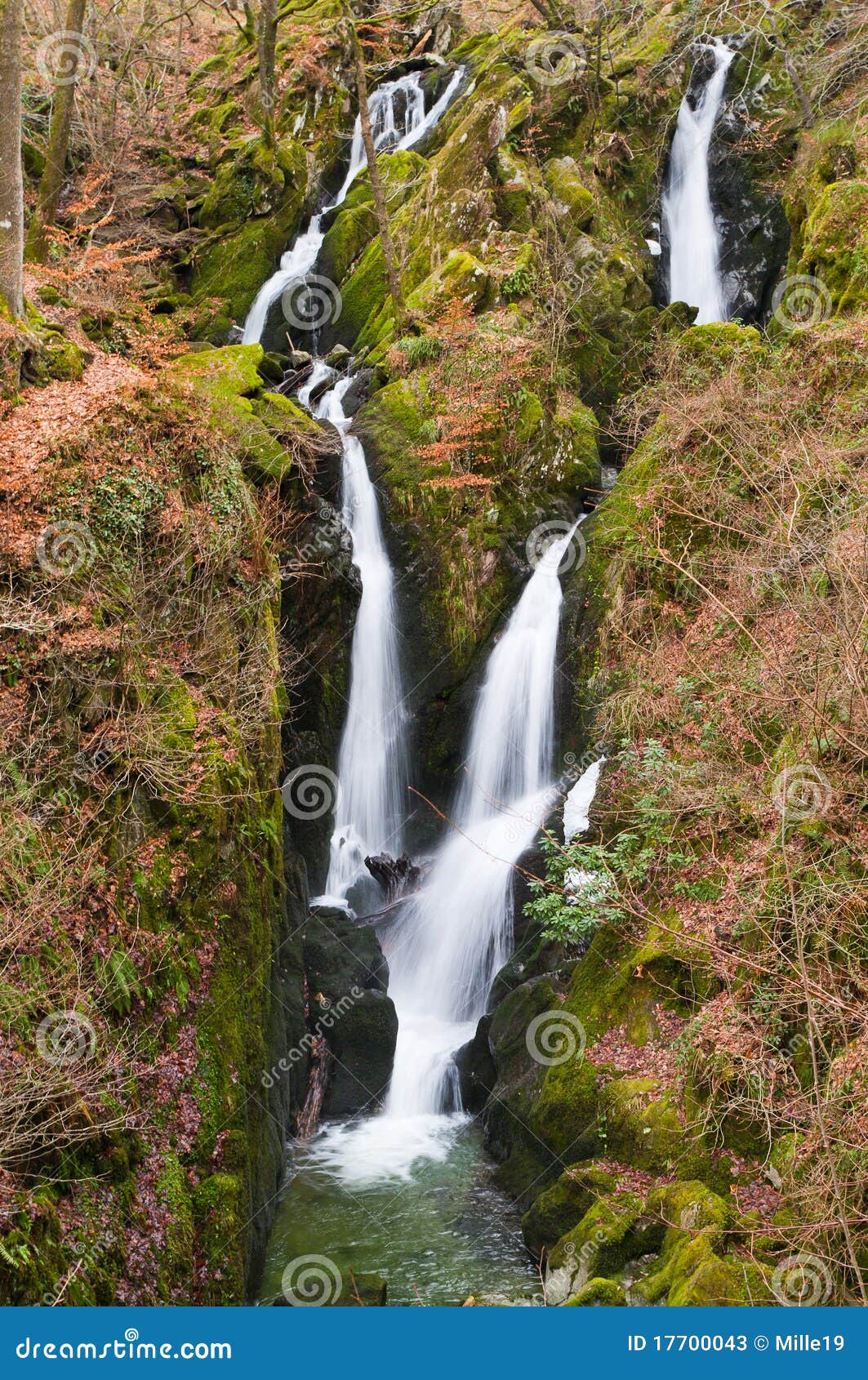 Stock Ghyll waterfall stock image. Image of nature, ambelside - 17700043