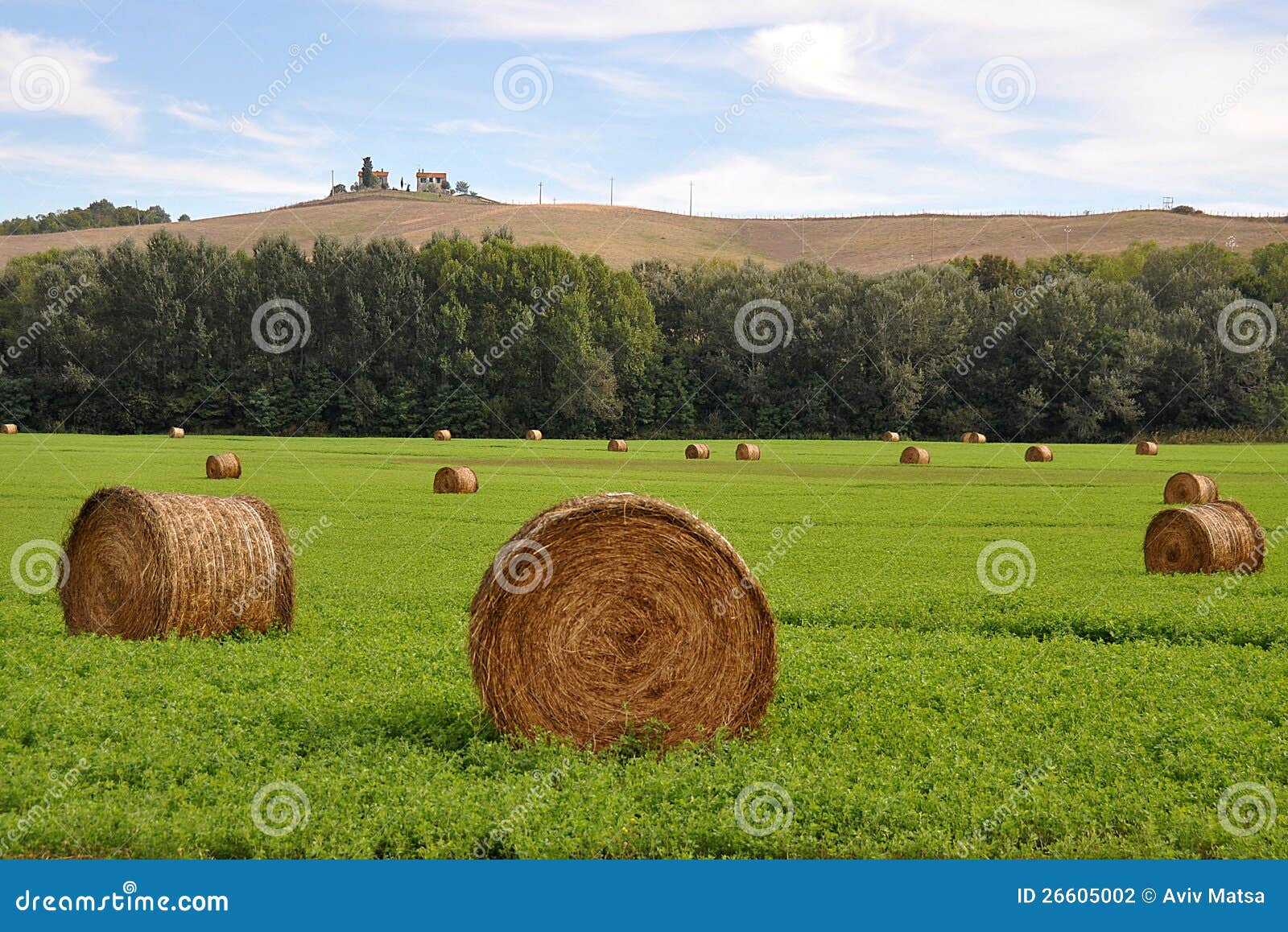 Stock of hay stock photo. Image of grass, brown, outdoors - 26605002
