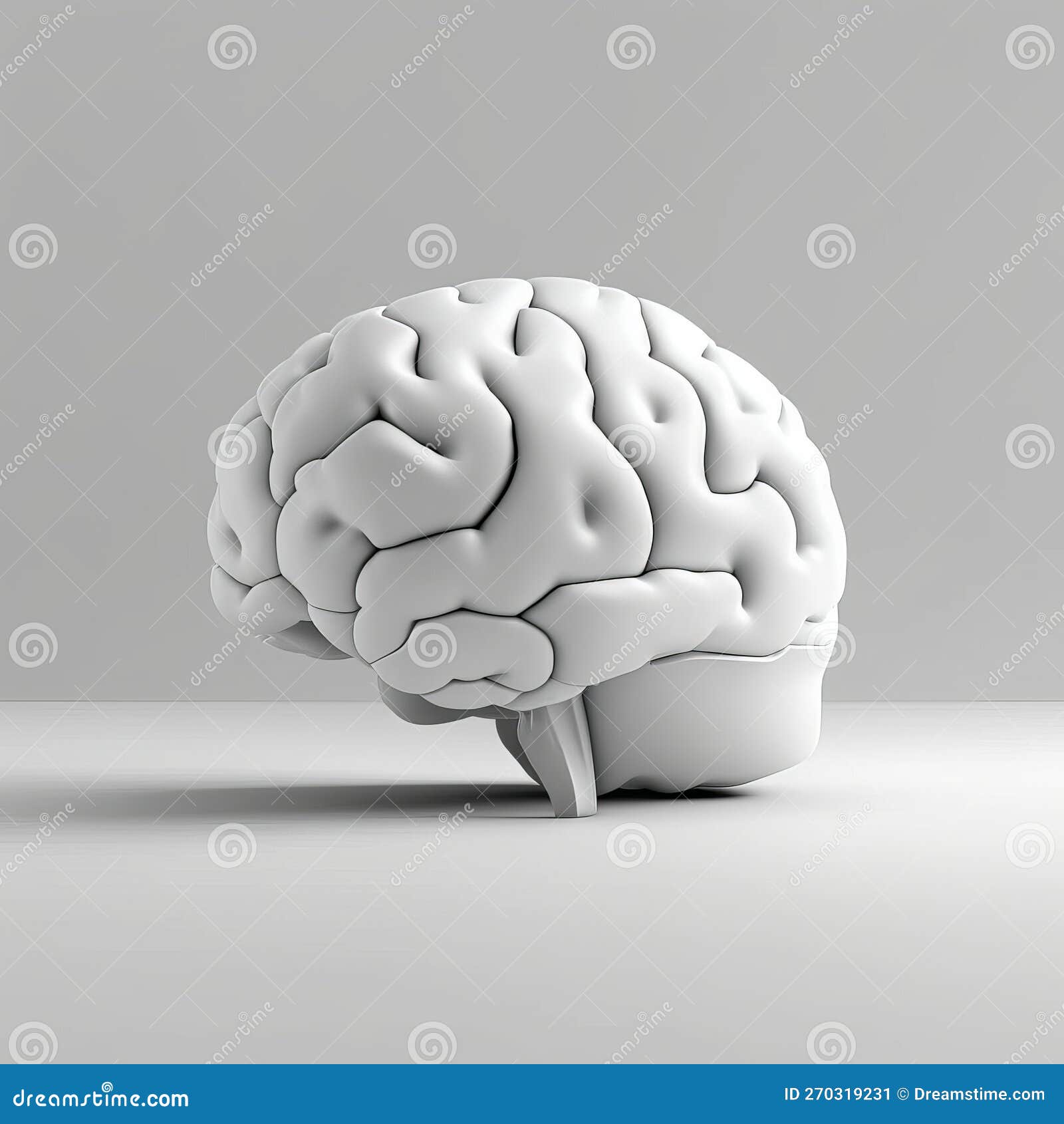 Minimalist White Brain on Empty Background: Clean and Simple Concept ...