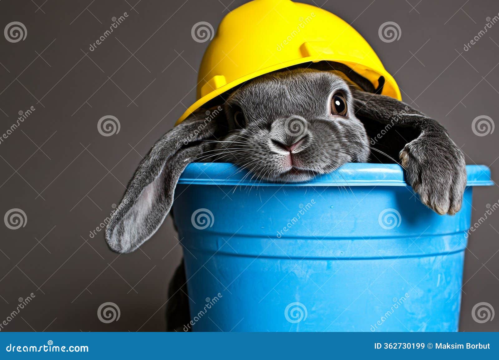 Stock Image of an Easter Bunny in a Construction Helmet Stock Image ...