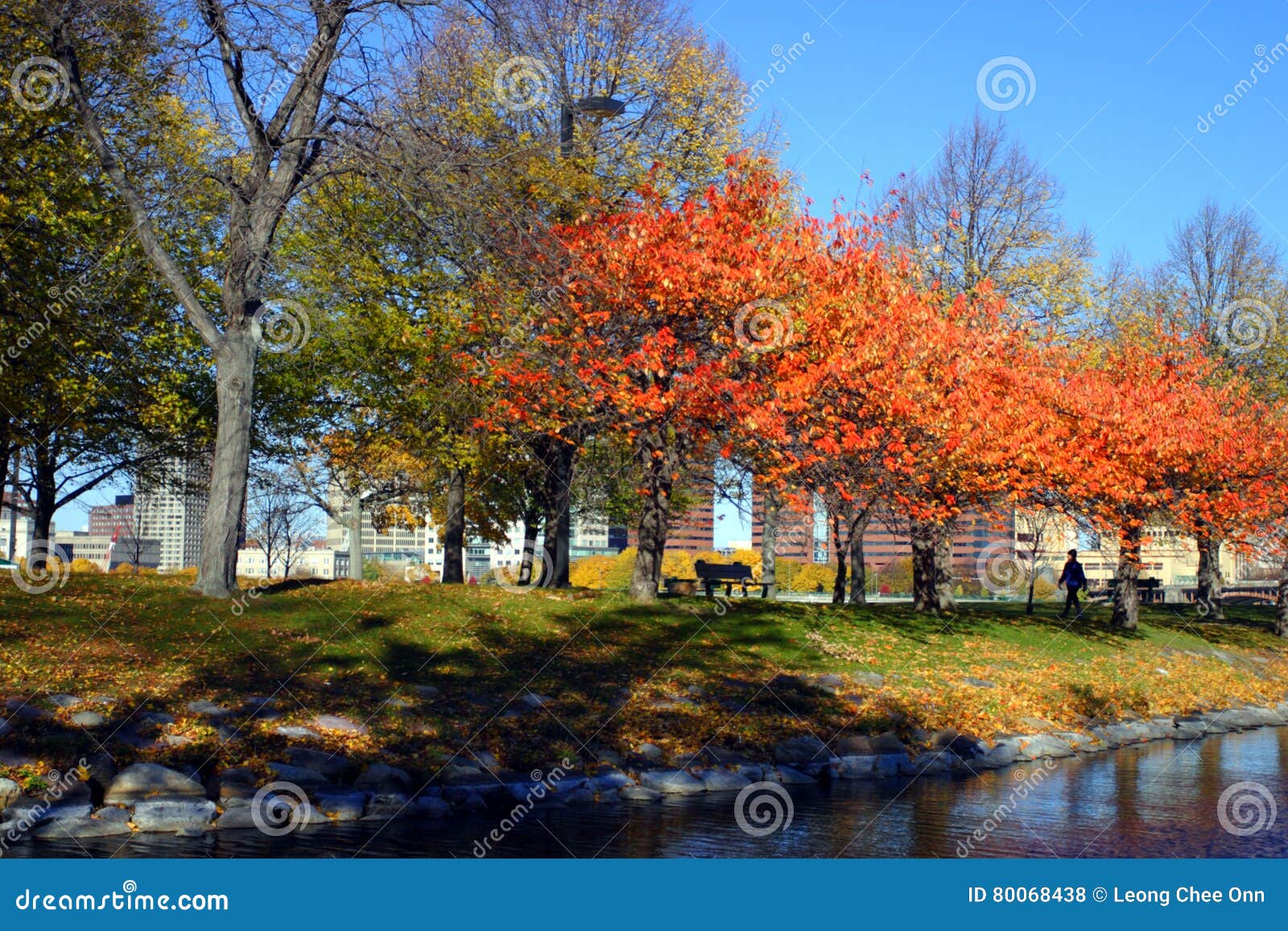 Stock Image of Fall Foliage at Boston Stock Photo - Image of america ...