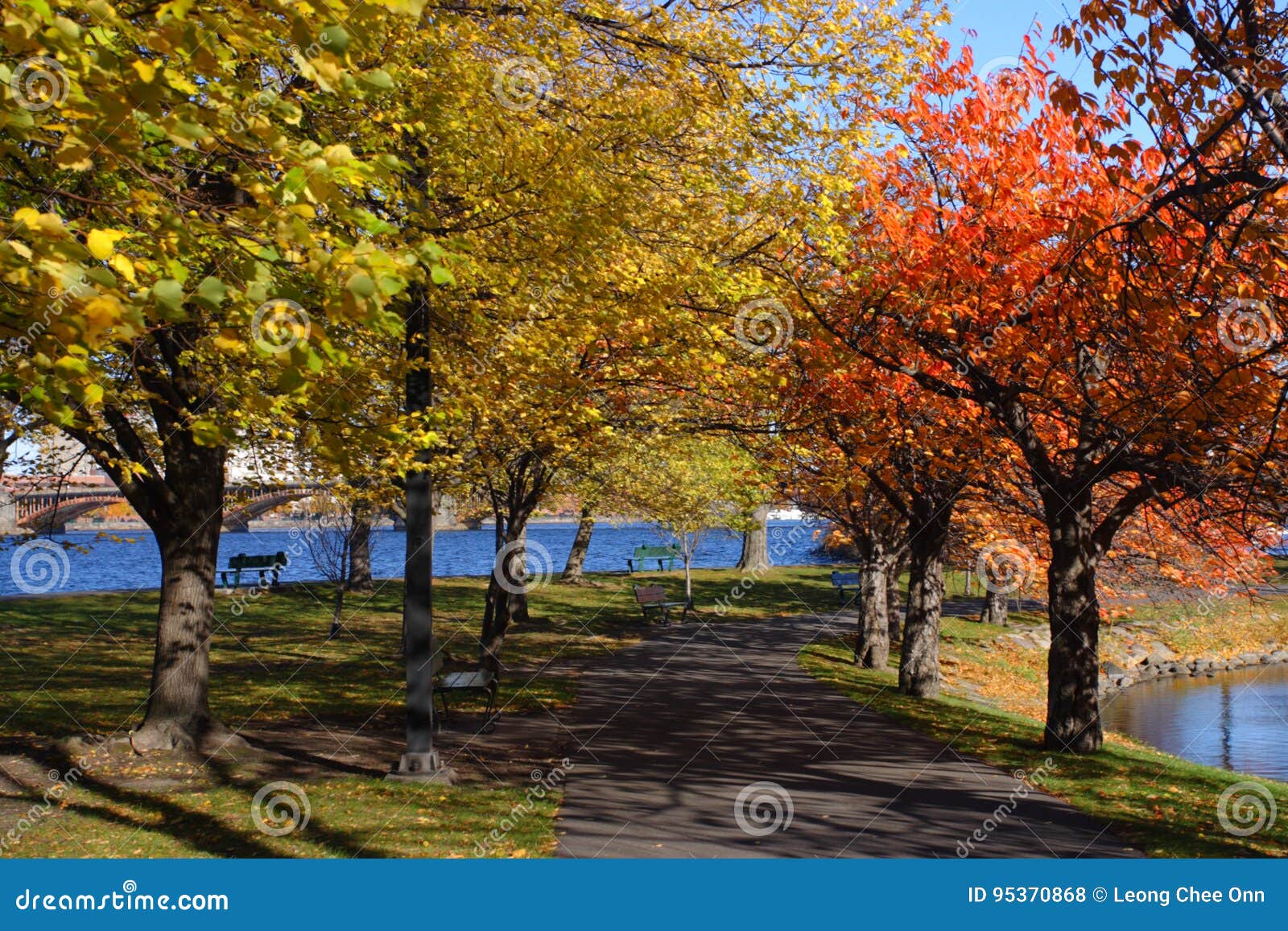 Stock Image of Fall Foliage at Boston Stock Photo - Image of colorful ...