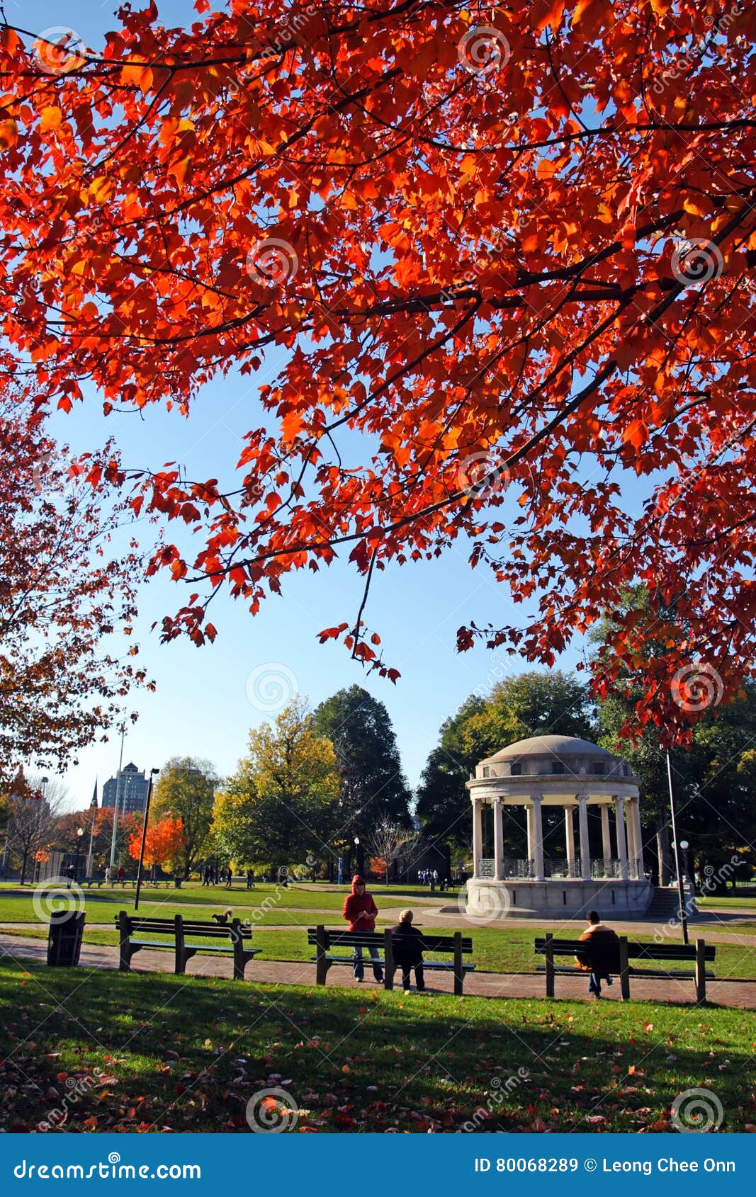 Stock Image of Fall Foliage at Boston Public Garden Editorial Stock ...