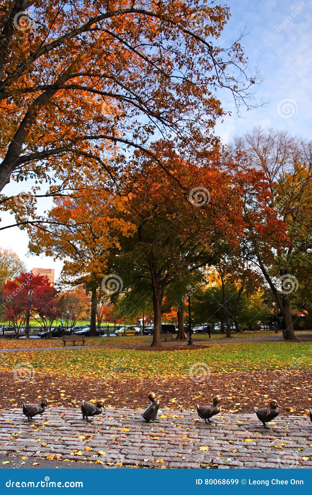 Stock Image of Fall Foliage at Boston Public Garden Stock Image - Image ...