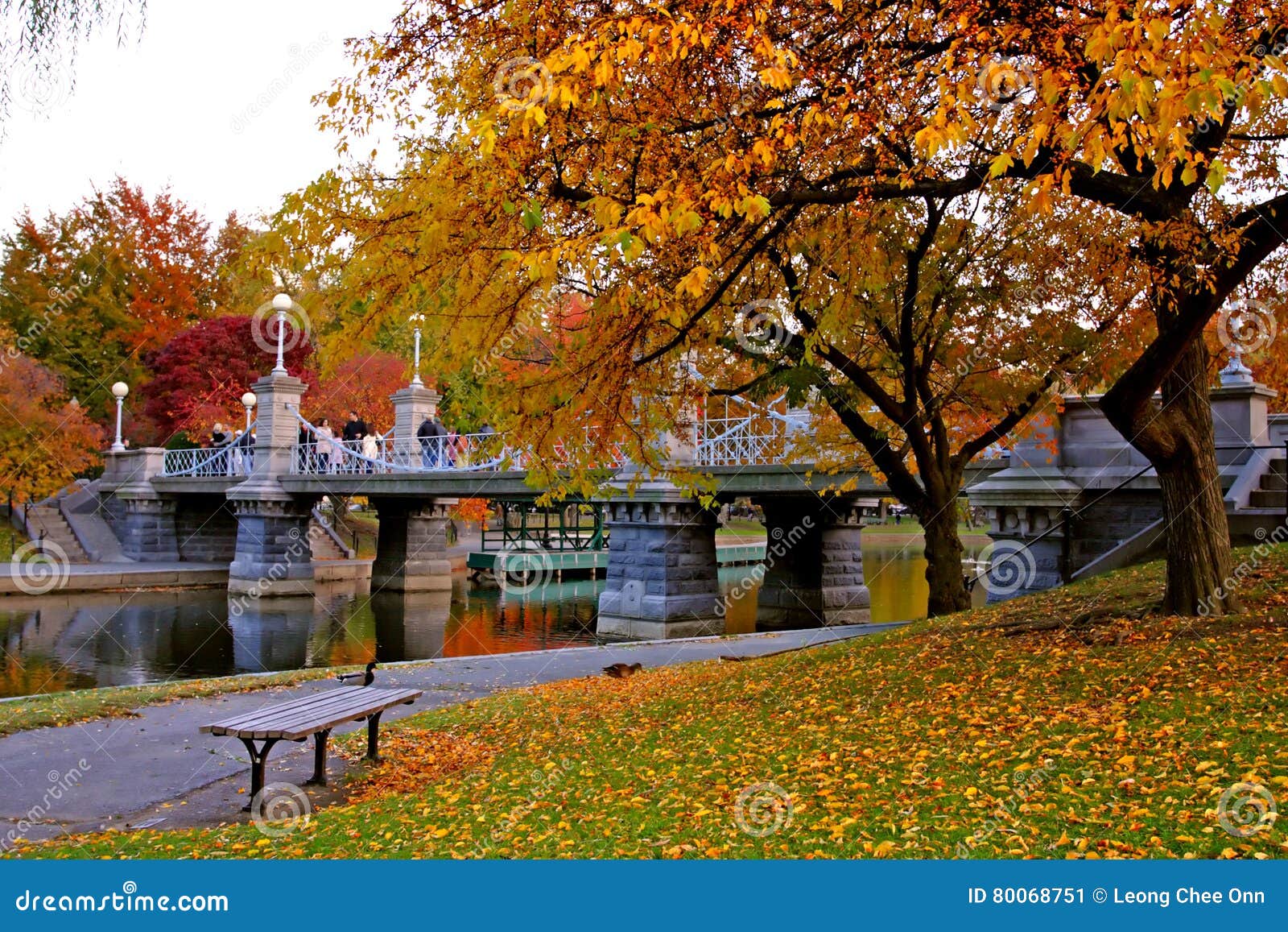 Stock Image of Fall Foliage at Boston Public Garden Stock Image - Image ...