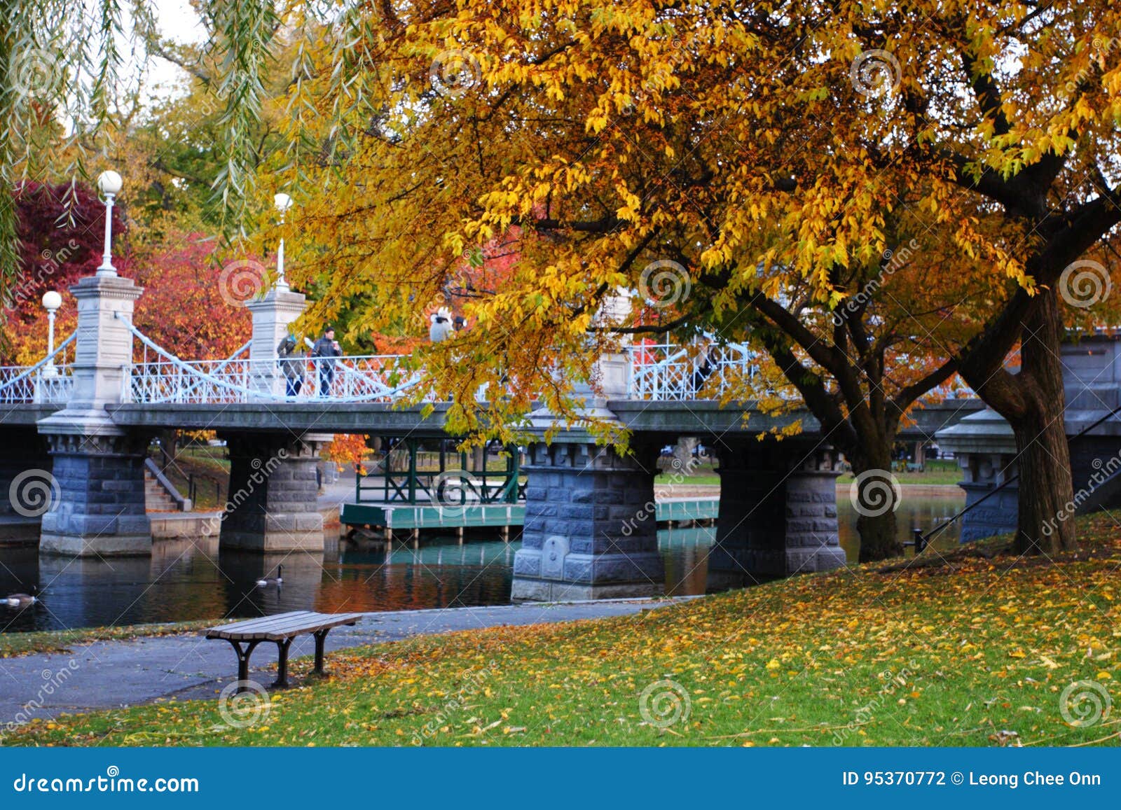 Stock Image of Fall Foliage at Boston Public Garden Stock Photo - Image ...