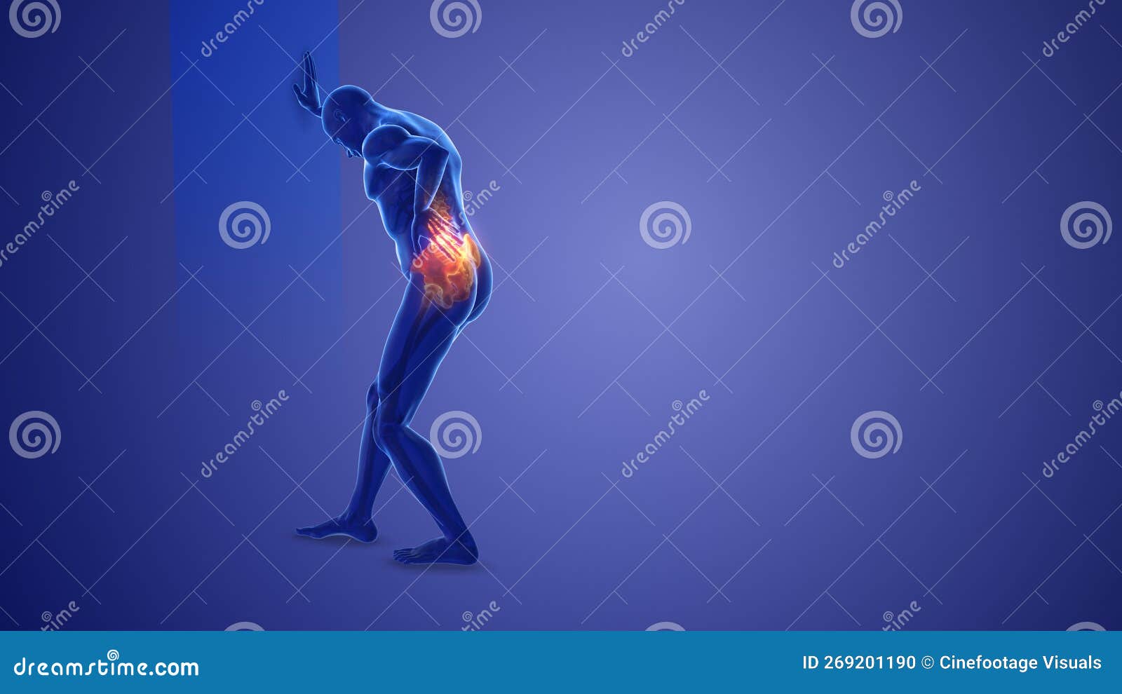 Pain in the Back Joint Medical Background Stock Illustration ...