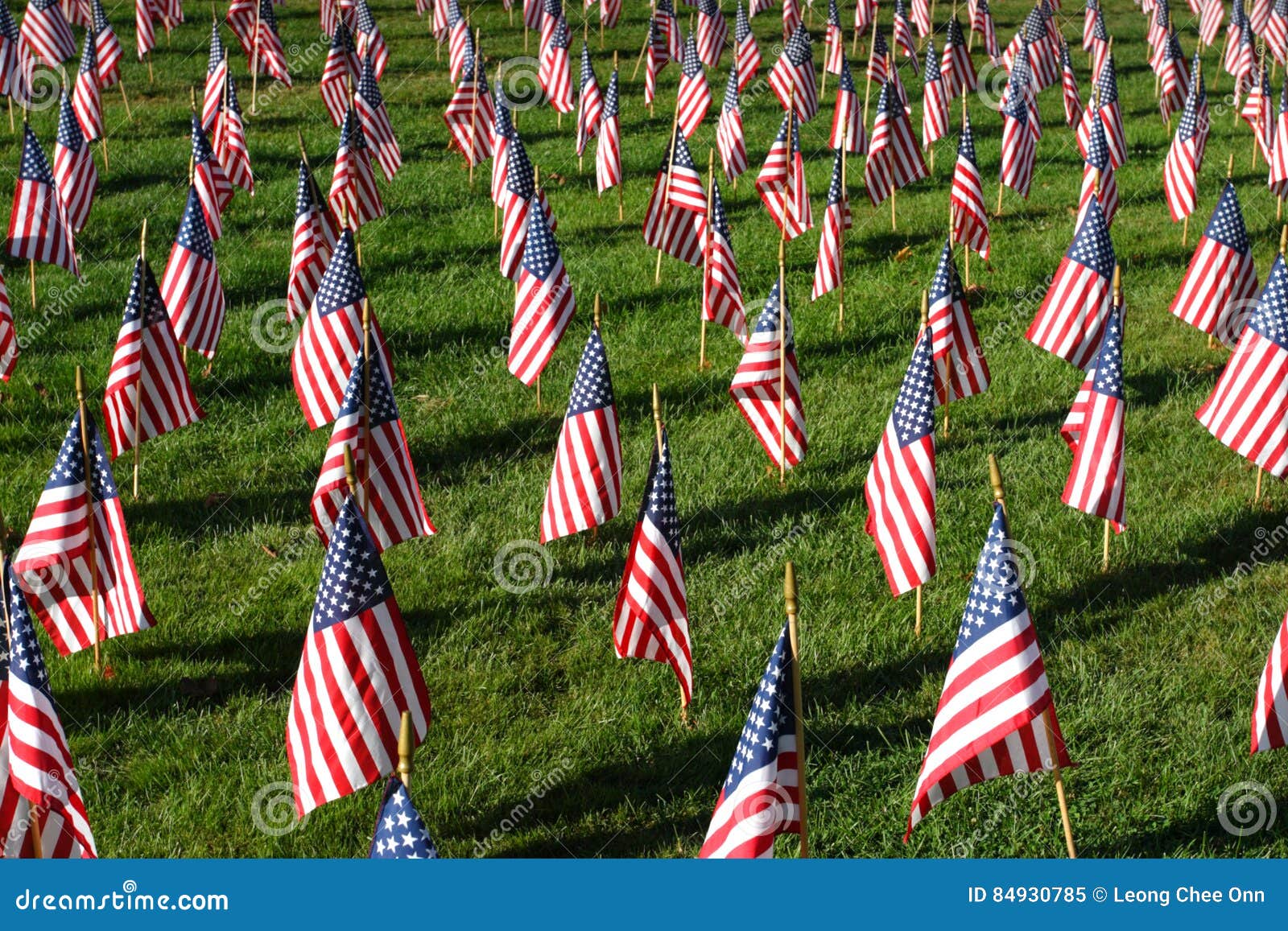 Stock Image of Field of American Flags Stock Image - Image of tribute ...