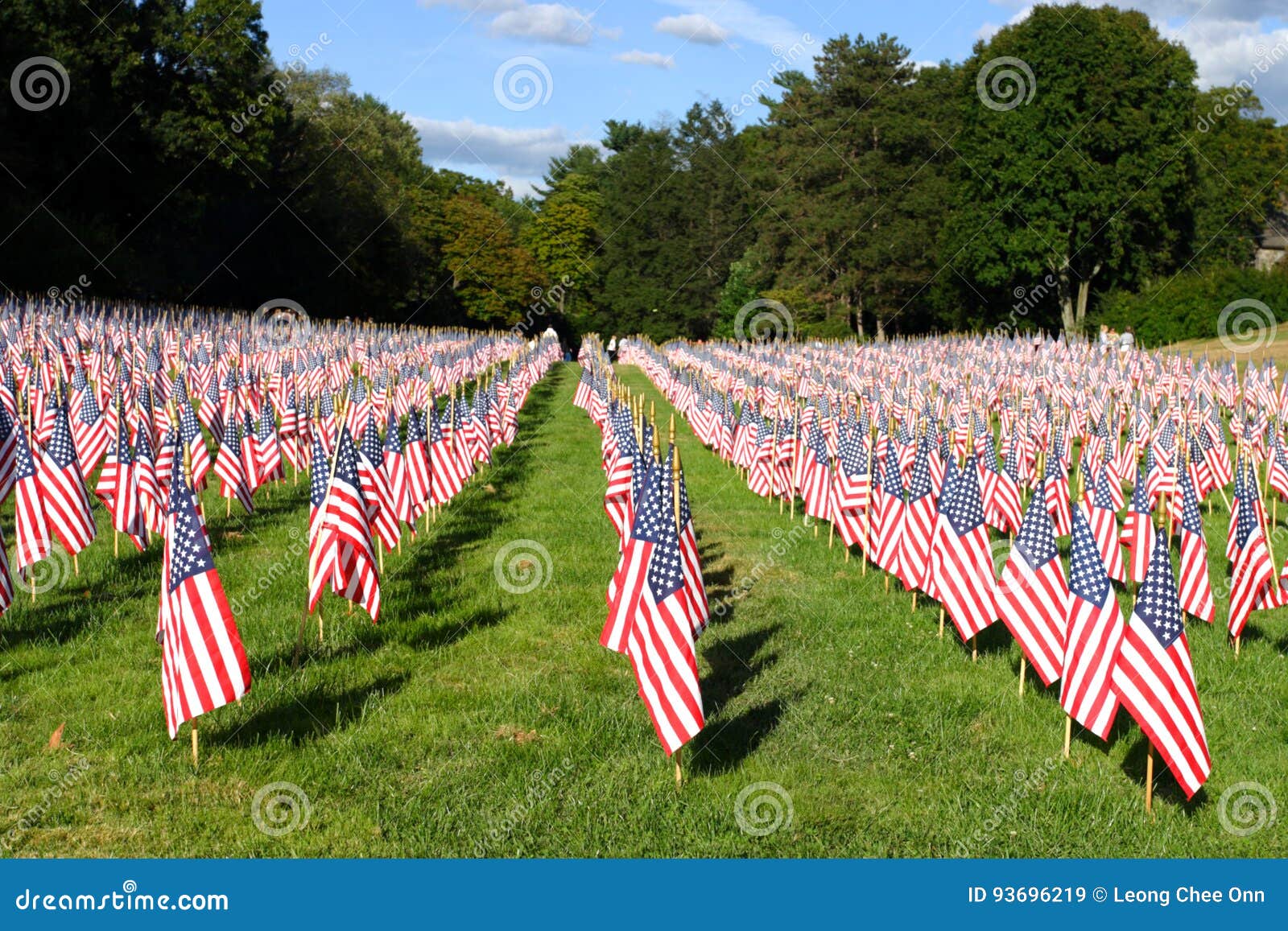 Stock Image of Field of American Flags Stock Image - Image of flags ...