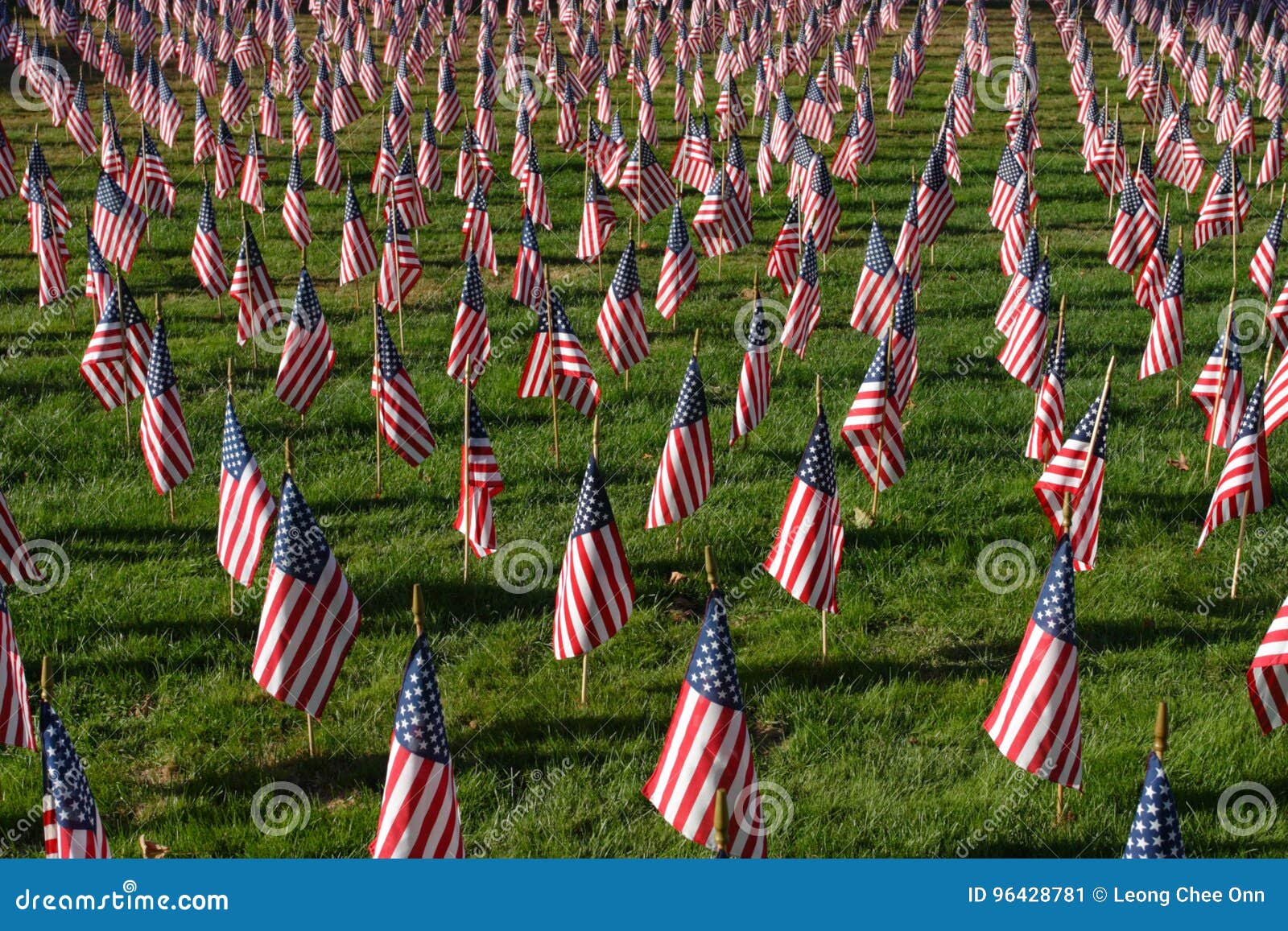 Stock Image of Field of American Flags Stock Image - Image of tribute ...