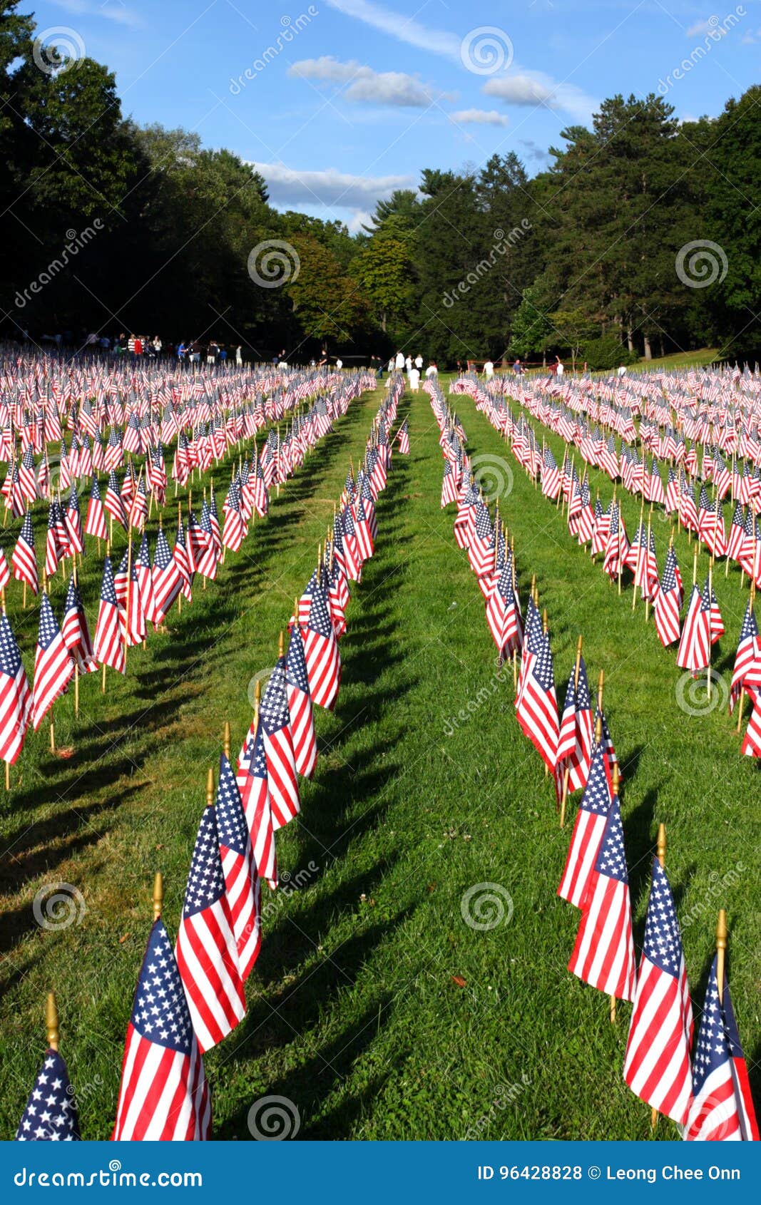 Stock Image of Field of American Flags Stock Photo - Image of american ...