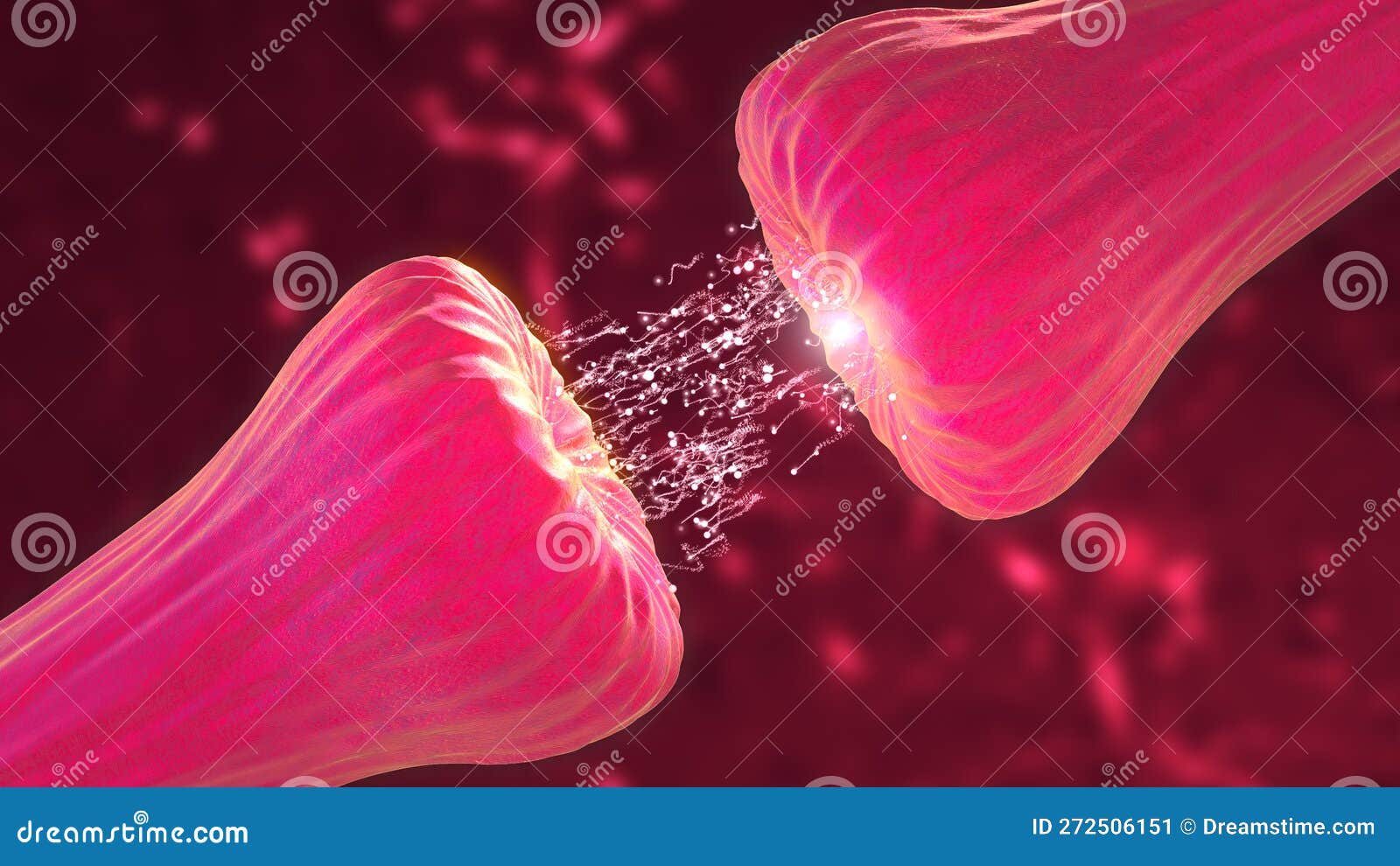 Neuronal and Synapse Activity Animation Showing Chemical Messengers or ...