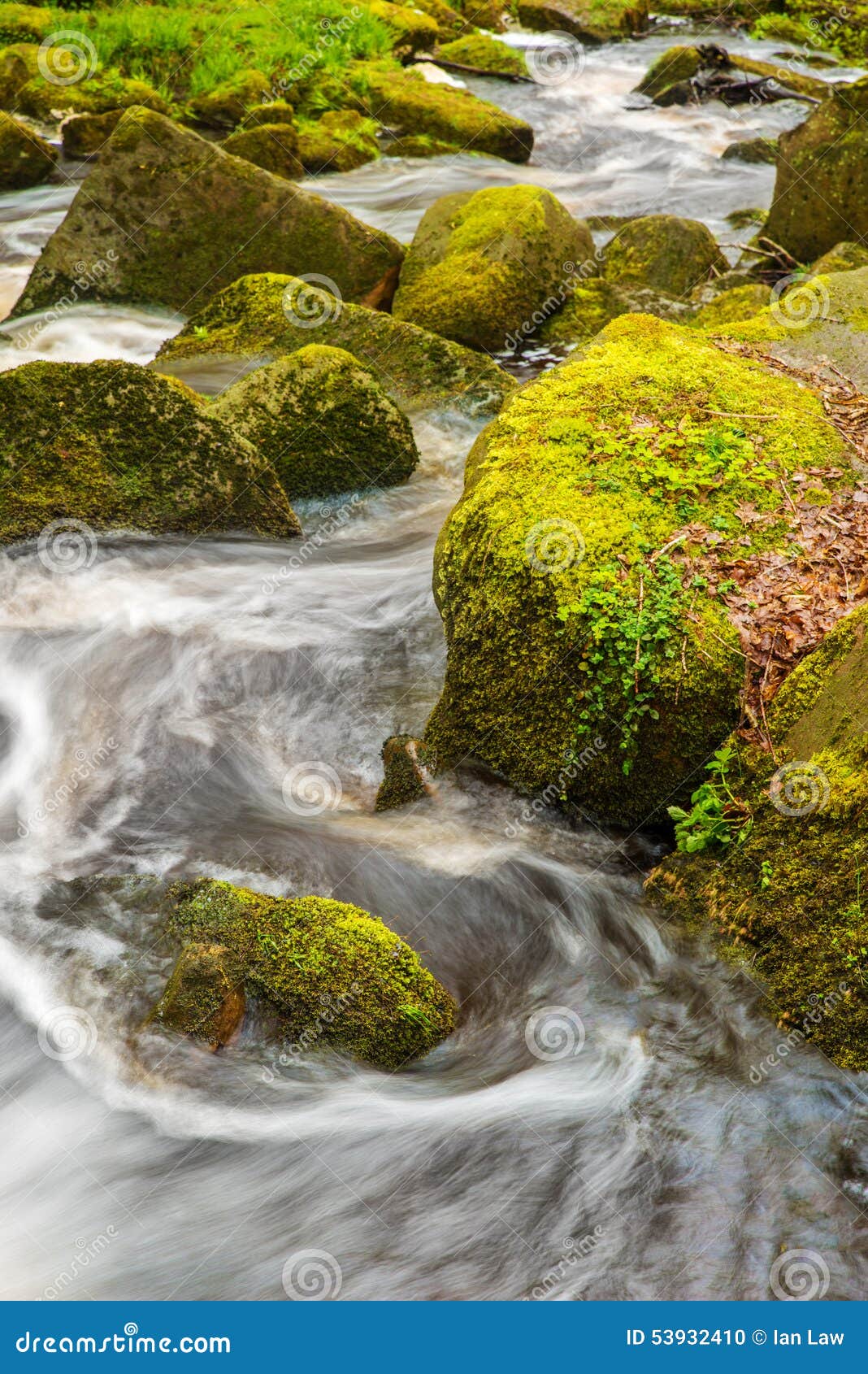 Stock Image of a Running River through Moss Covered Rocks in Pad Stock ...