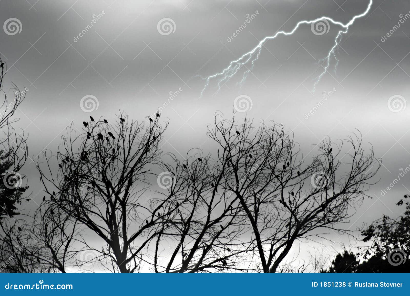 Stock Image of Silver Storm Stock Photo - Image of seasonal, november ...