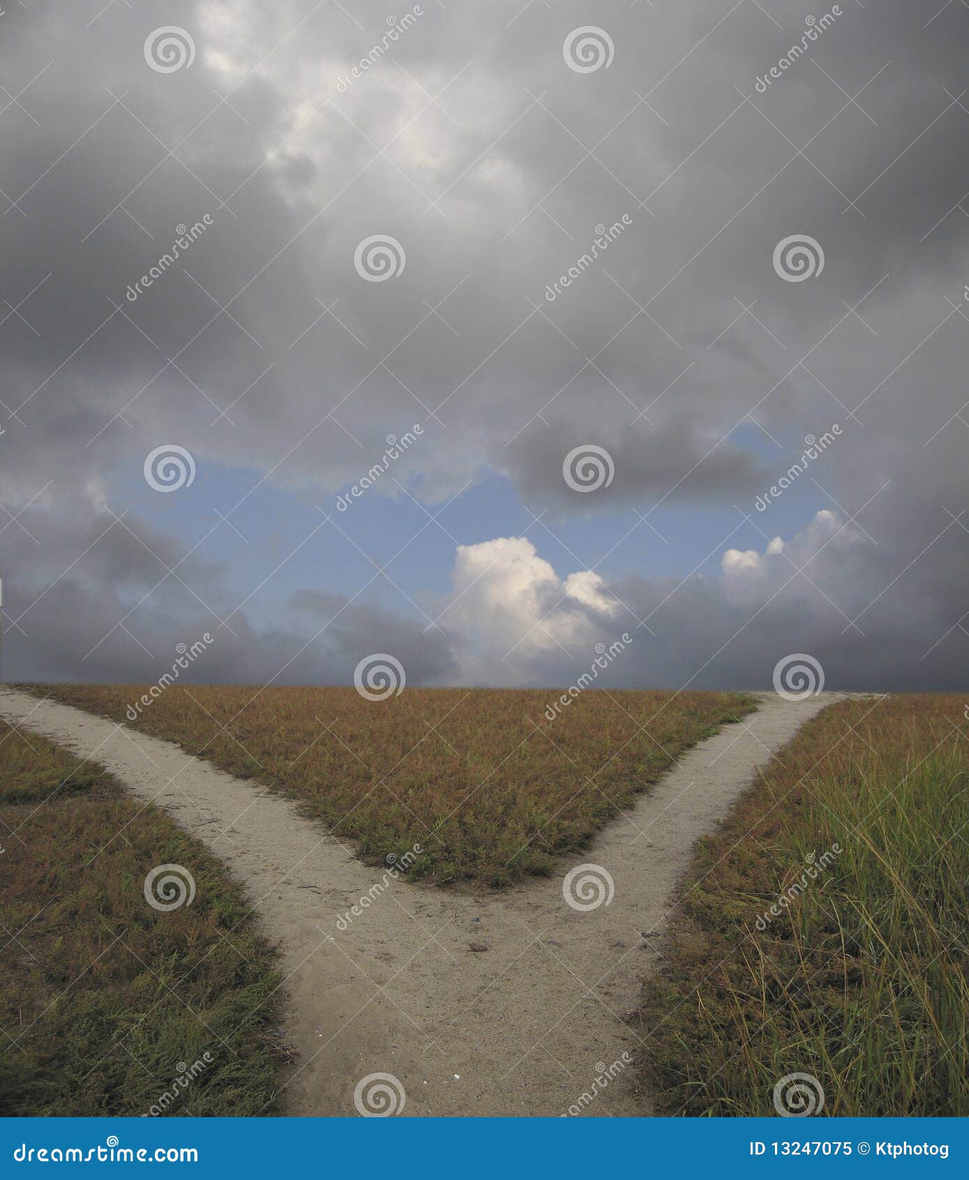 Stock Photo of Forked Path stock image. Image of directionright - 13247075