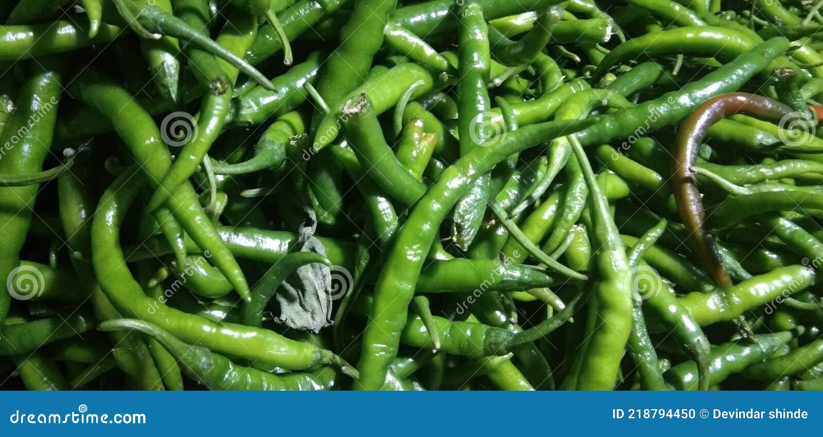 Stock Photo Fresh Green Chilli Stock Photo - Image of crop, fruit ...