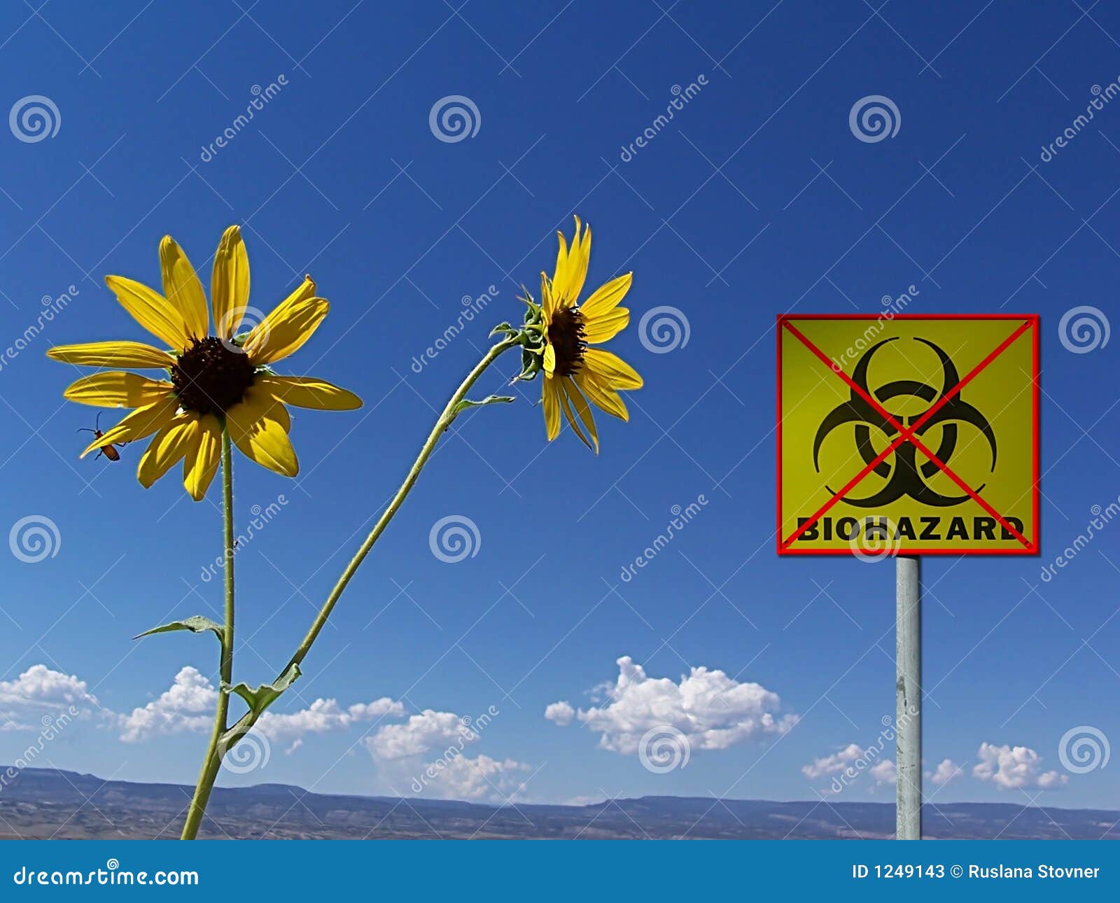 Stock Photography Illustrating Safe Environment Stock Image - Image of ...