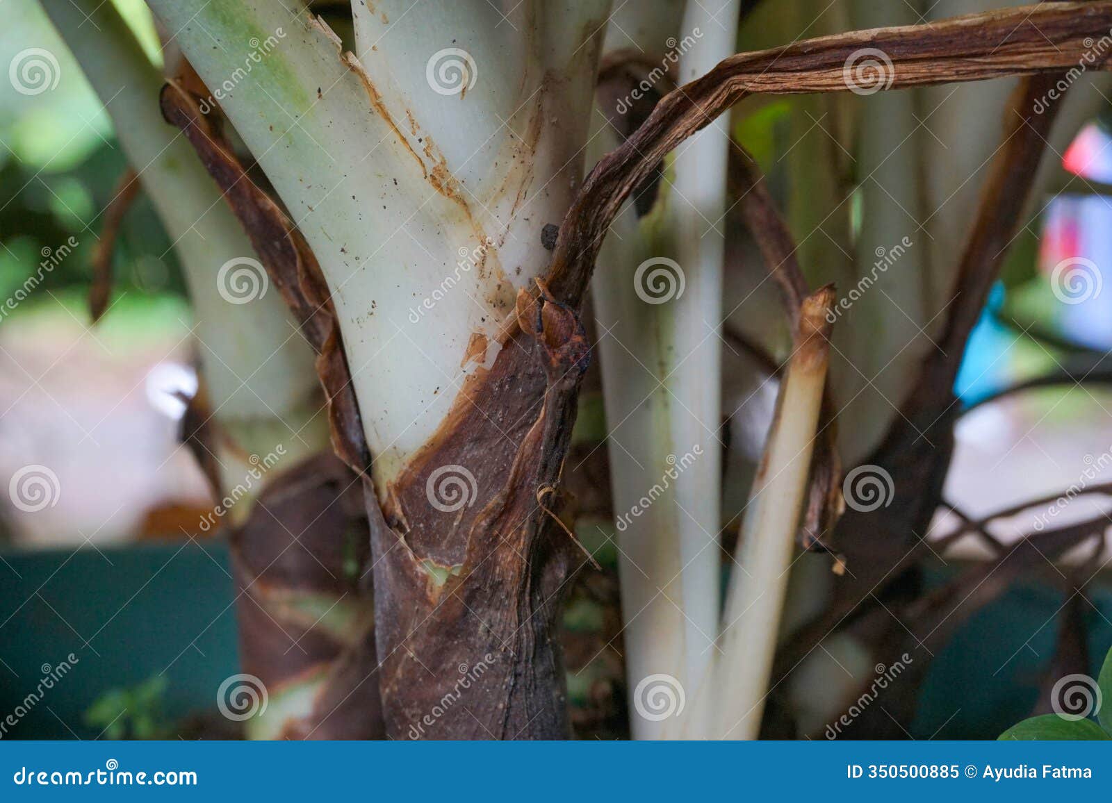 Stock Photos of Objects that are Perfect for Backgrounds Stock Image ...