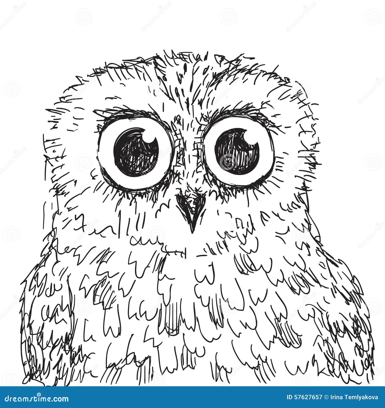 Stock Vector Hand Drawn Owl Illustration Stock Vector - Illustration of ...