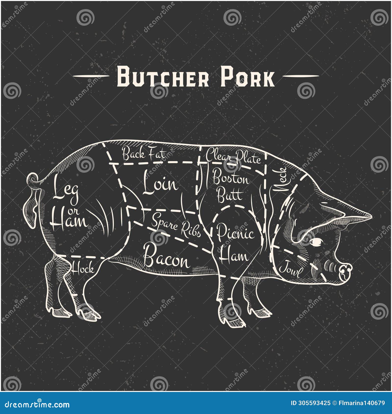 Stock Vector Pork Cuts Diagram in the Style of Handmade Graphics ...