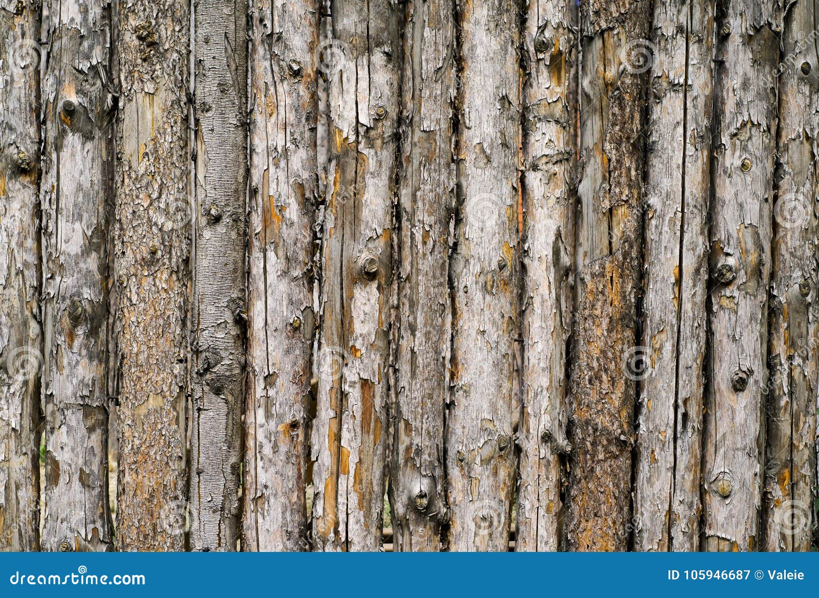 Stockade of pine logs stock image. Image of hard, protection - 105946687