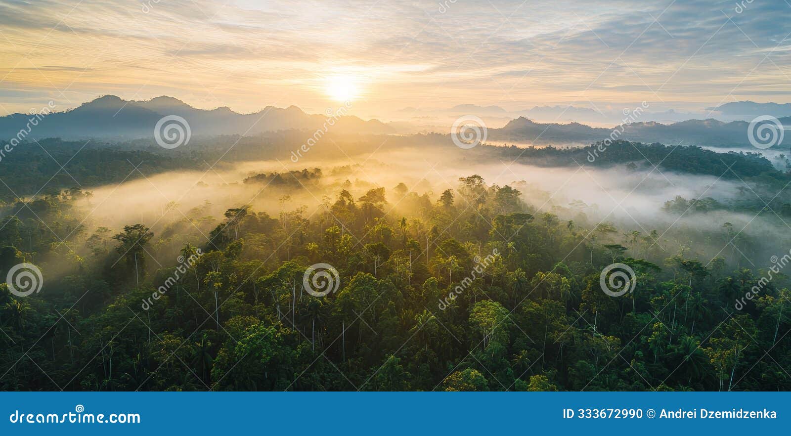 Green Amazon Border Frame With Exotic Jungle Plants, Palm Leaves And ...