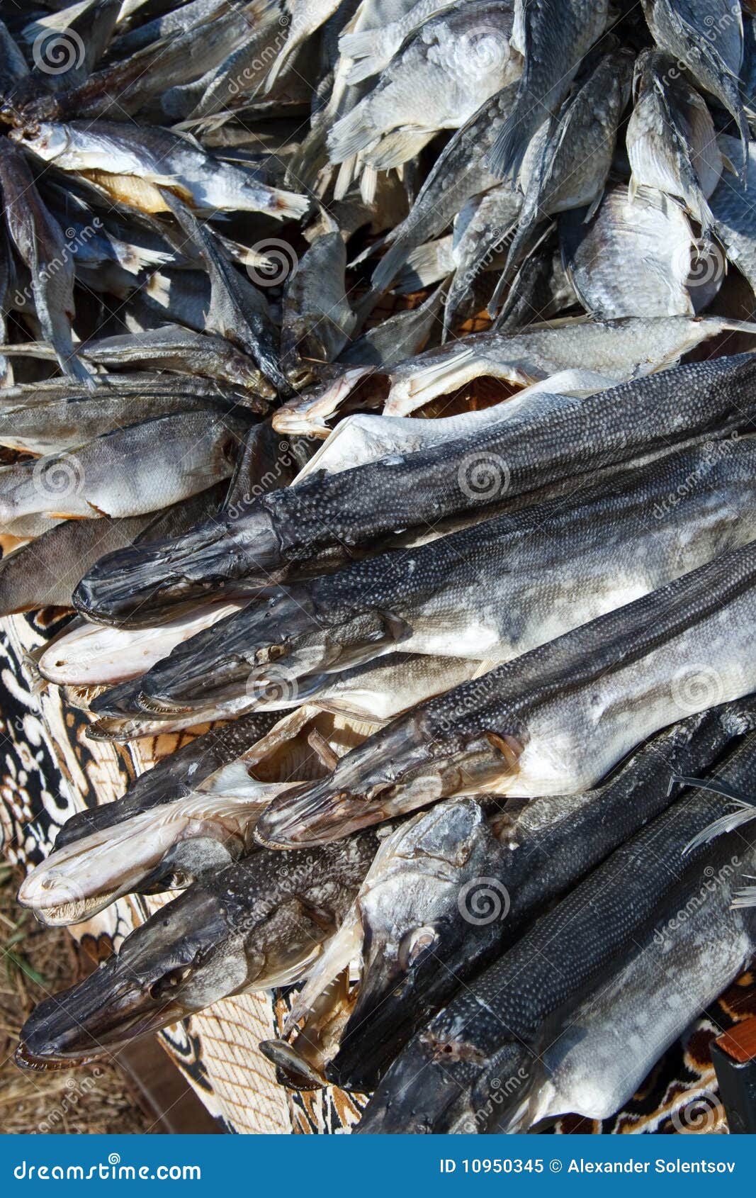 Stockfish stock image. Image of stockfish, sale, dried - 10950345