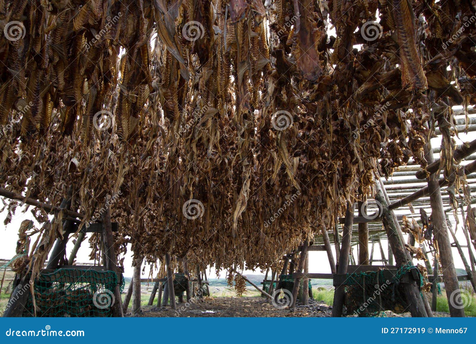 Stockfish stock image. Image of sakrisoy, hjell, fish - 27172919