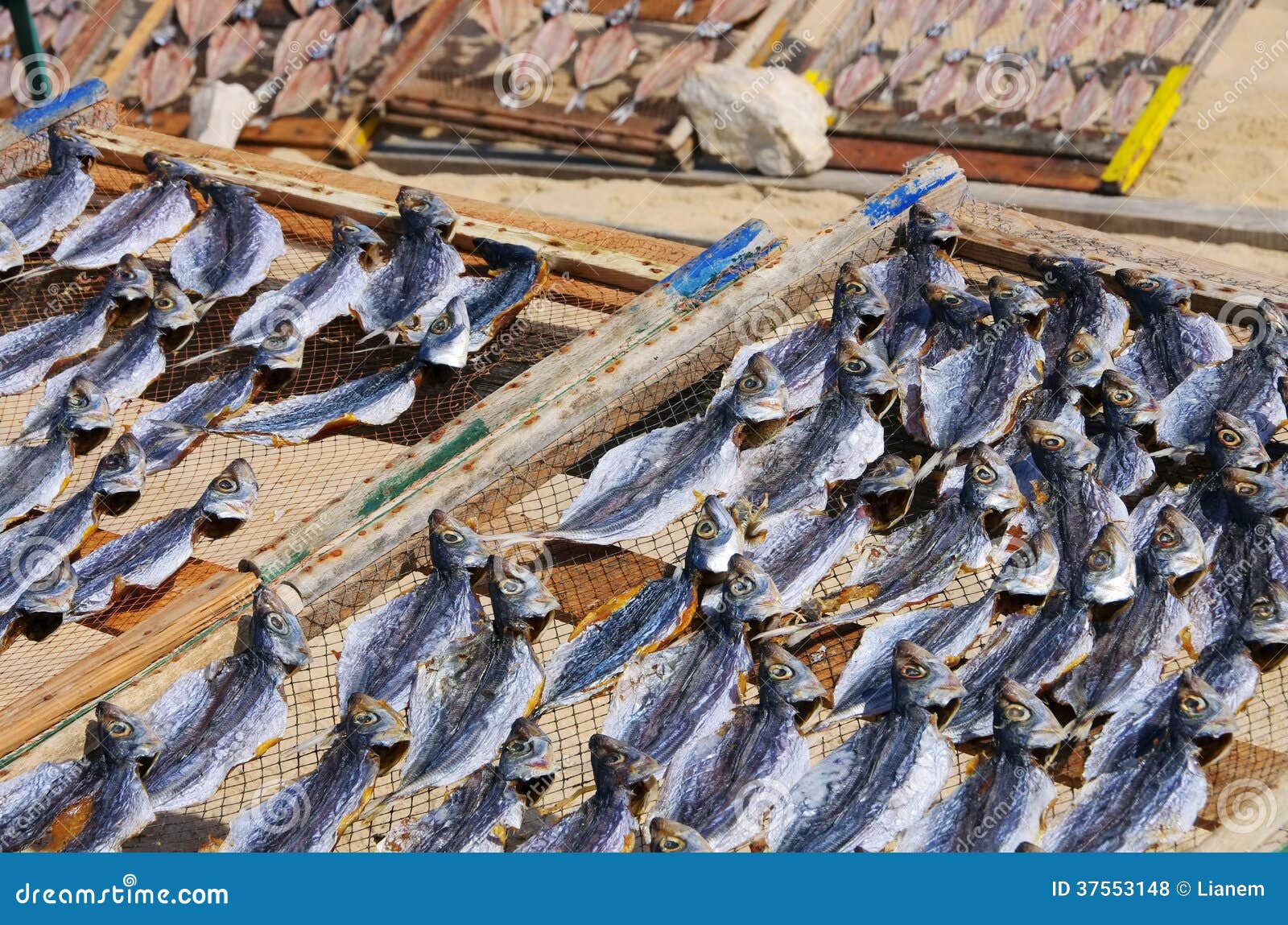Stockfish stock photo. Image of dried, closeup, fish - 37553148